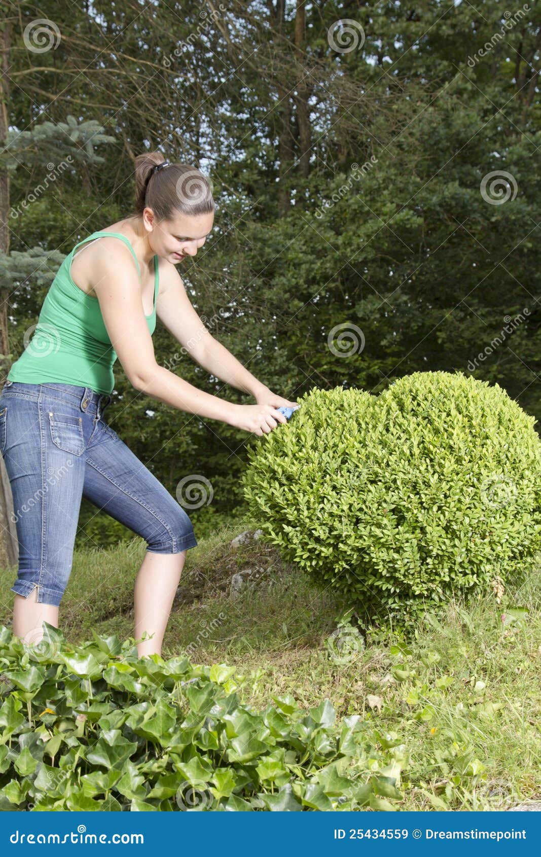 Cute Girl Cutting and Trimming Box Tree Heart Stock Image - Image of ...