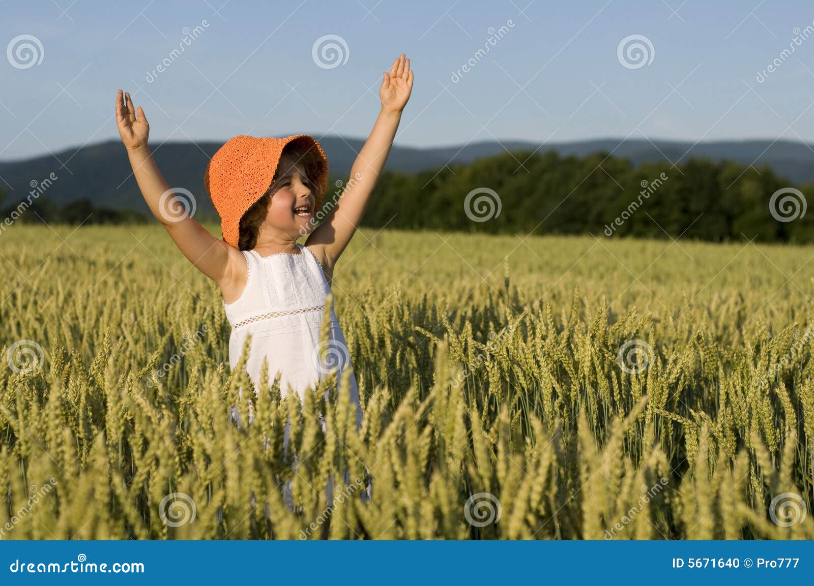 Cute girl on field stock photo. Image of arms, health - 5671640