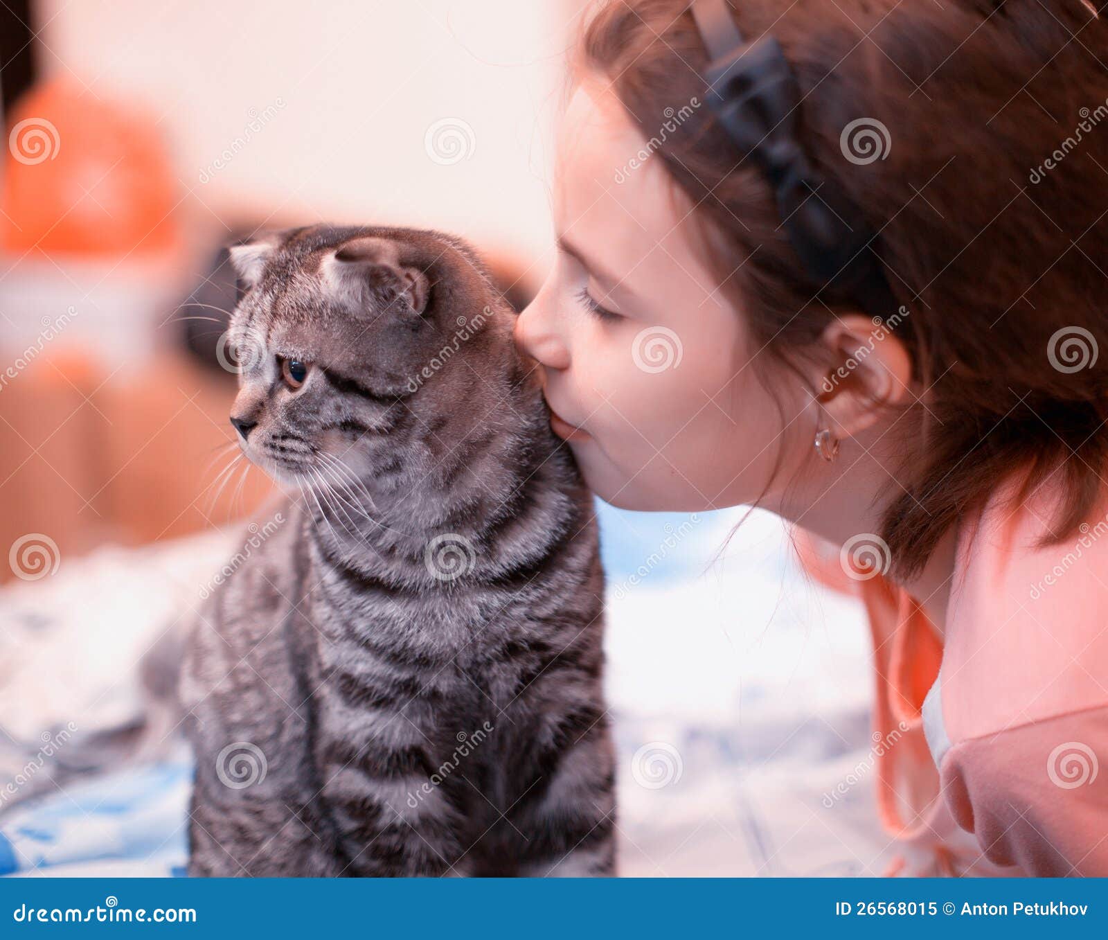 Cute girl kissing kitten stock image. Image of child - 26568015