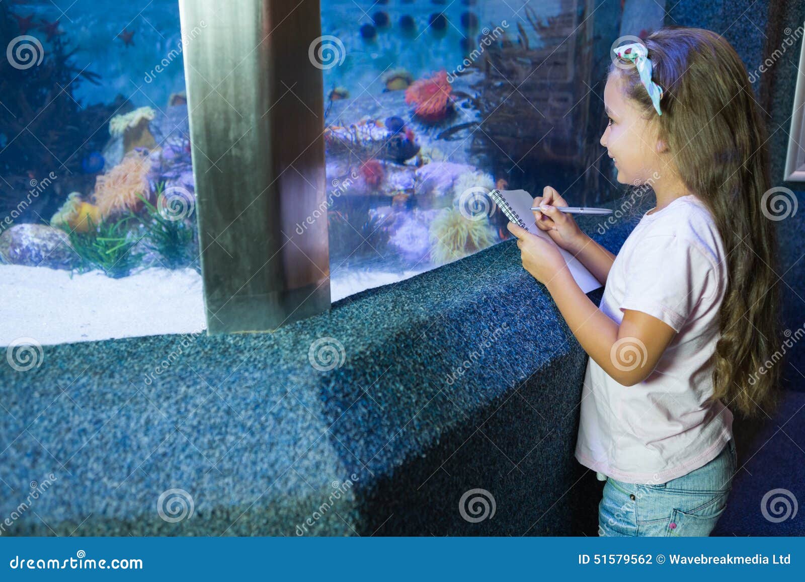 Cute Girl Looking at Fish Tank Stock Photo - Image of storage, notepad ...