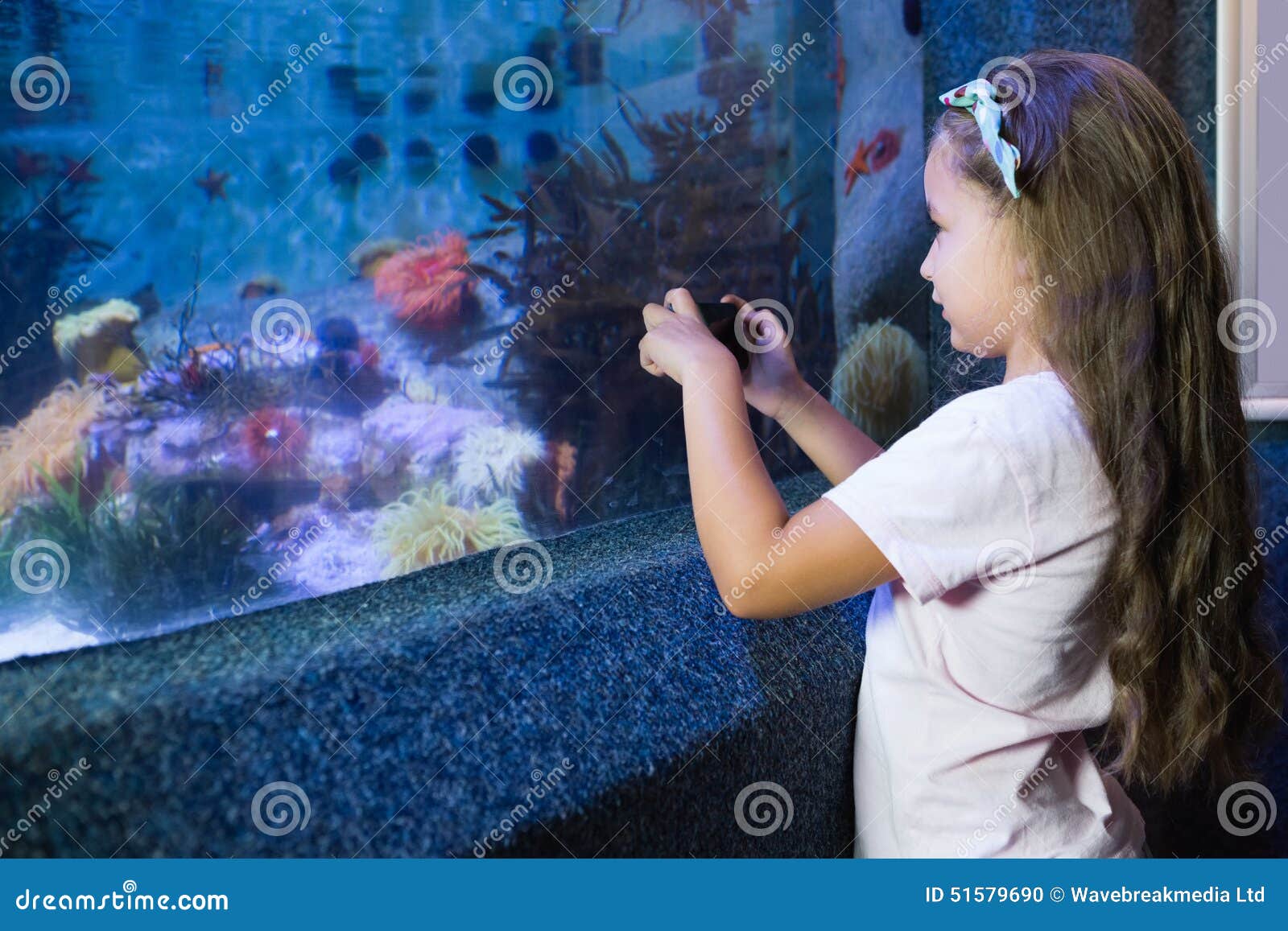 Cute Girl Looking at Fish Tank Stock Photo - Image of environment ...