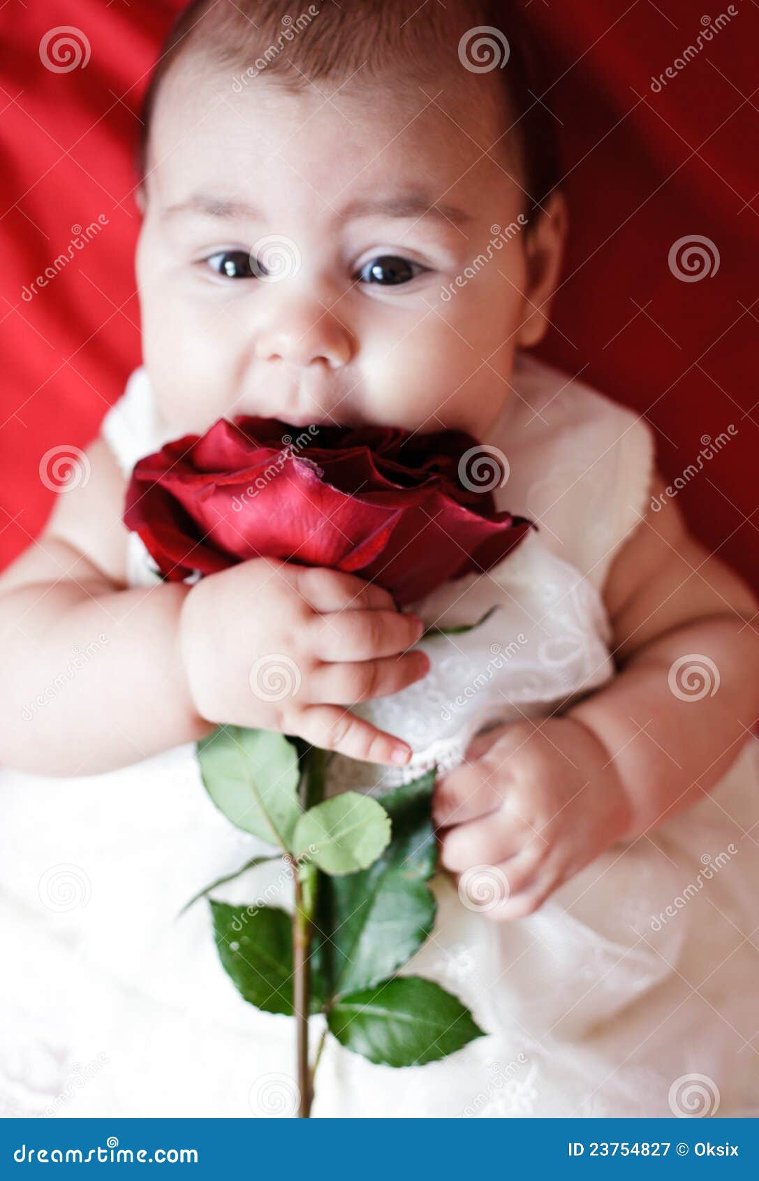 Cute Babies With Red Roses