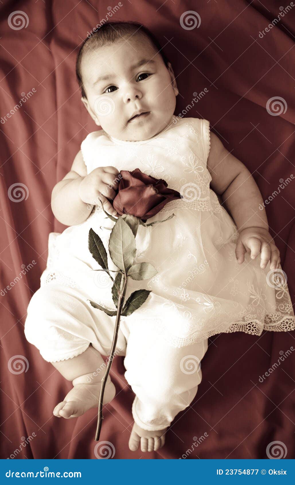 Cute girl with red rose stock image. Image of baby, body - 23754877