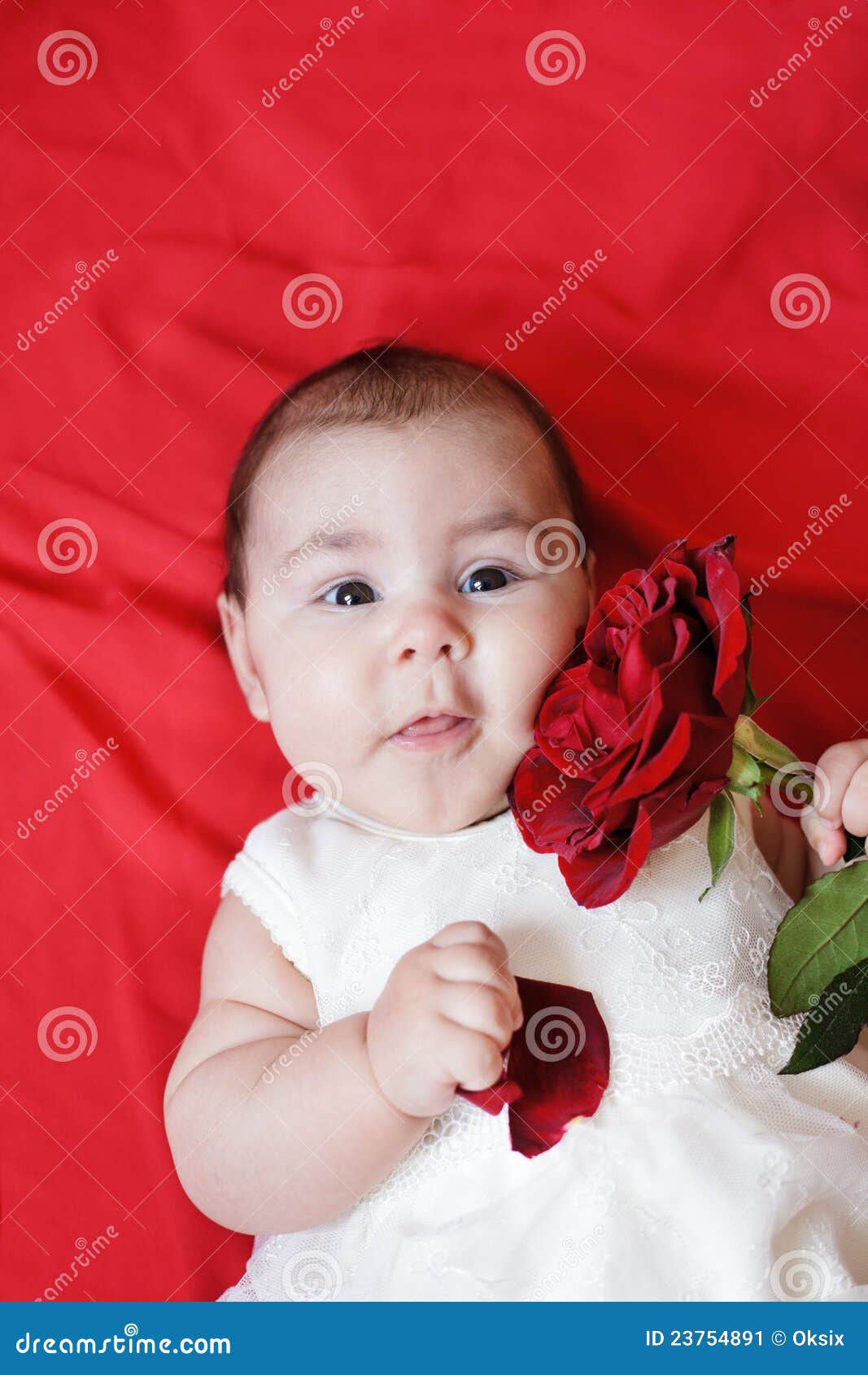 Cute girl with red rose stock image. Image of innocent - 23754891