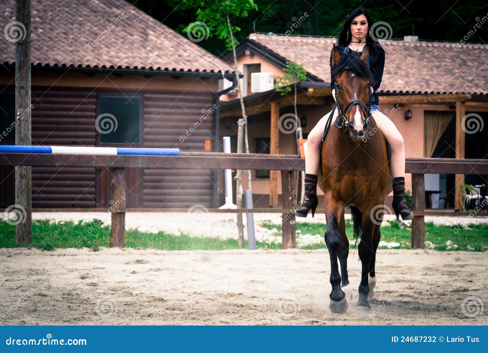 Cute girl riding a horse stock photo. Image of horse - 24687232