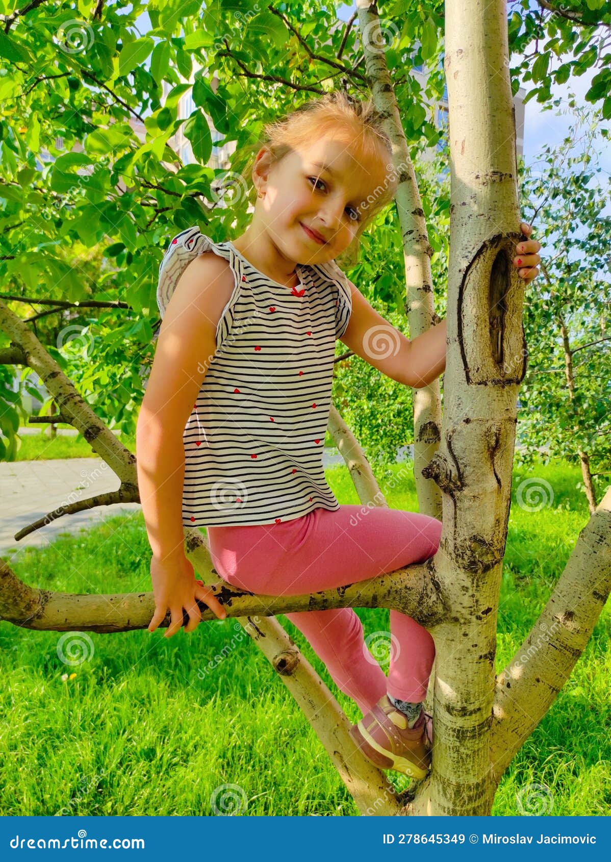 Cute Girl of the Sitting Tree Stock Image - Image of hanging, active ...