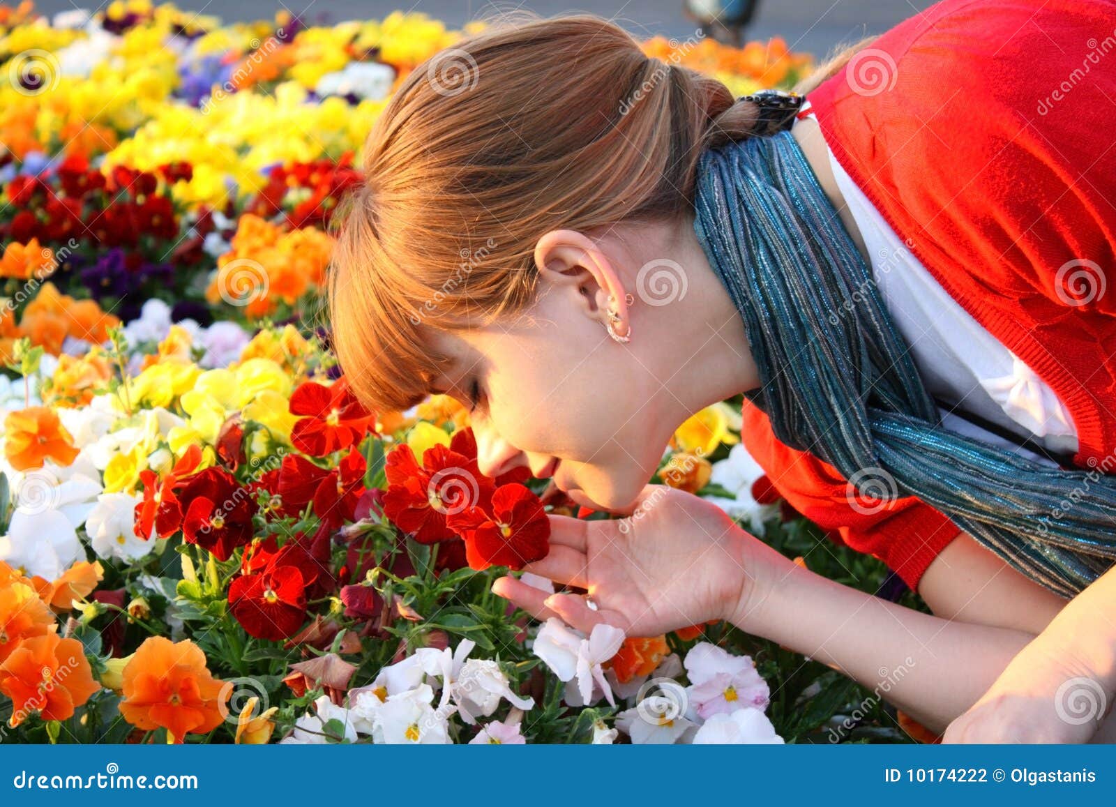 Cute Girl Sniffing Flowers at the Sunset Stock Photo - Image of single ...