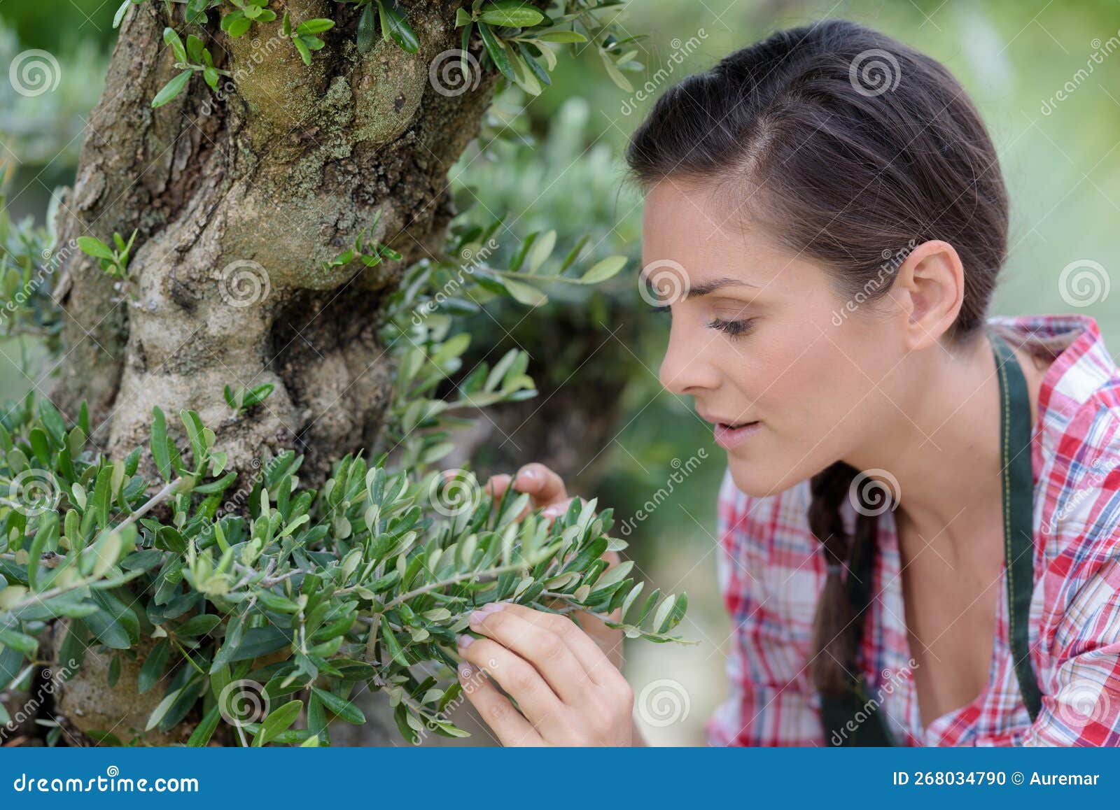 Cute Girl Working in Tree Nursery Stock Photo - Image of small ...