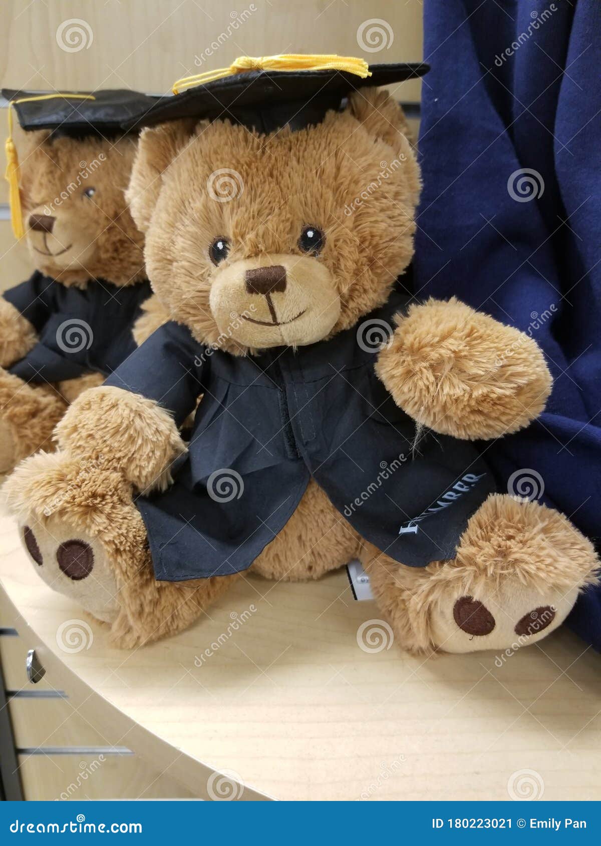 Cute Graduation Teddy Bear stock image. Image of graduation - 180223021