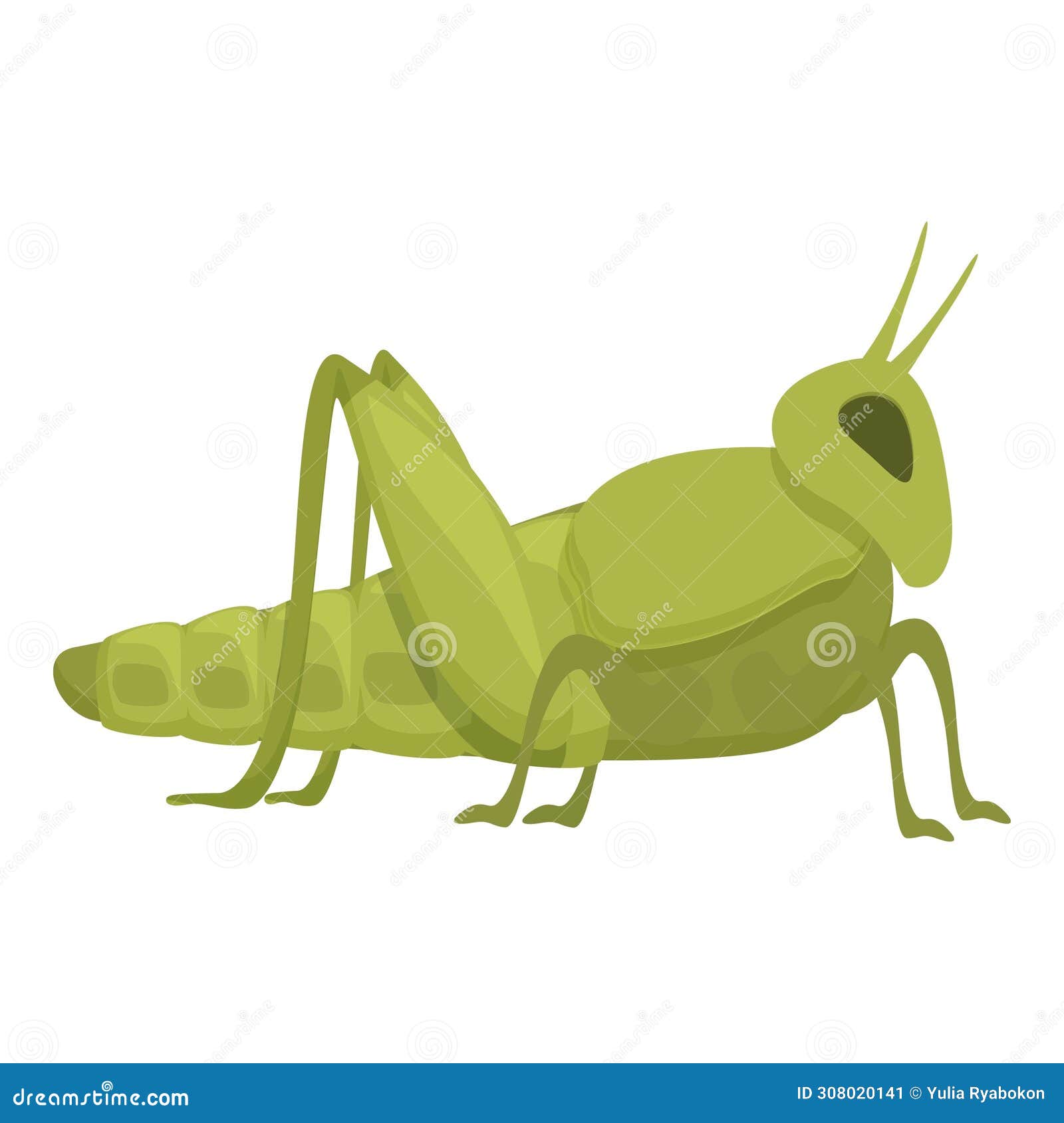 Grasshopper Life Cycle Vector Illustration 289426204
