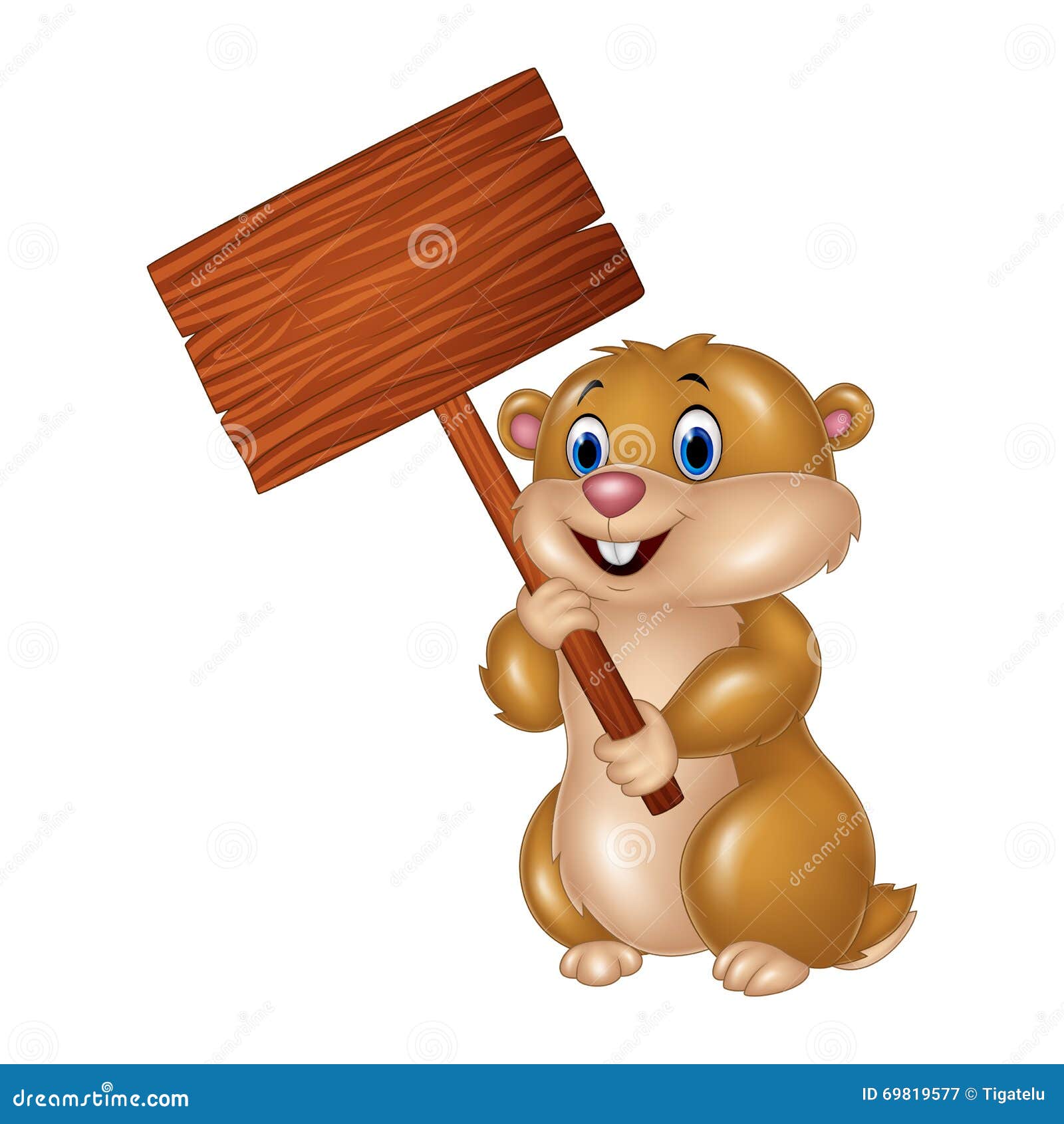Groundhog With Placard Groundhog Day Coloring Cartoon Vector ...