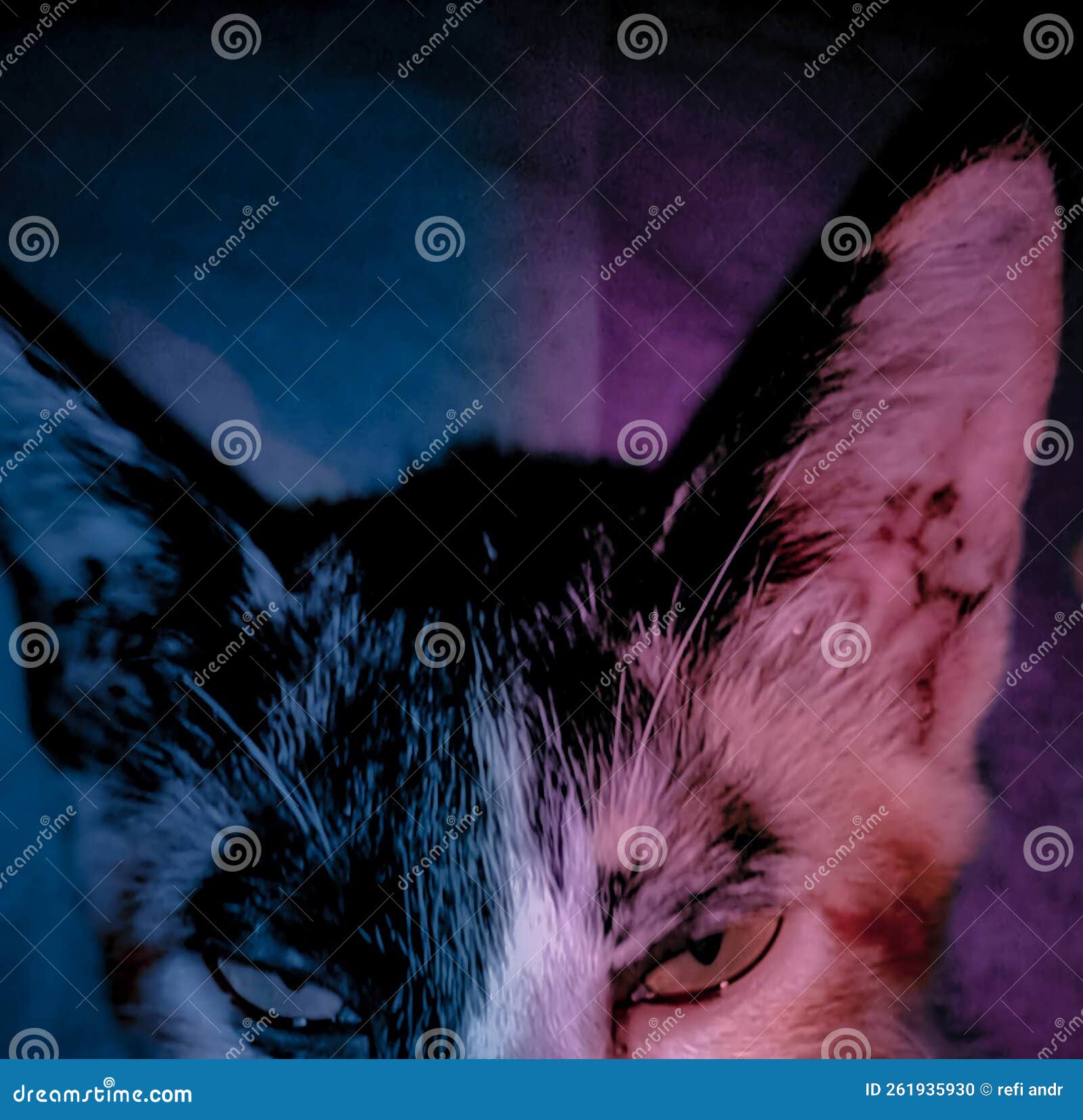 Cute grum stock photo. Image of animals, cute, grum - 261935930