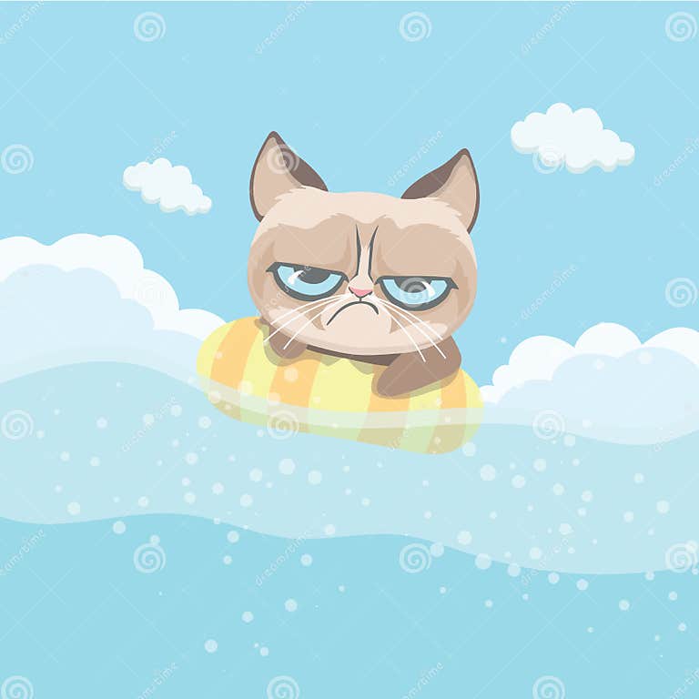 Cute grumpy cat. stock vector. Illustration of pool - 170296647