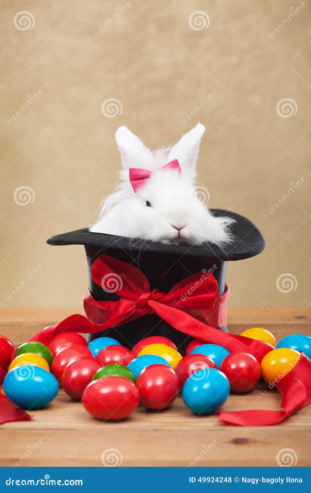Cute but Grumpy Easter Bunny with Colorful Dyed Eggs Stock Photo ...