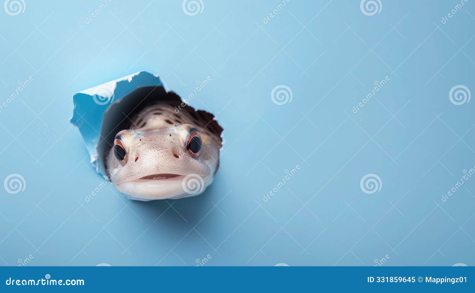 Animal Gulper Ell Natural Logo Vector Icon Silhouette | CartoonDealer ...