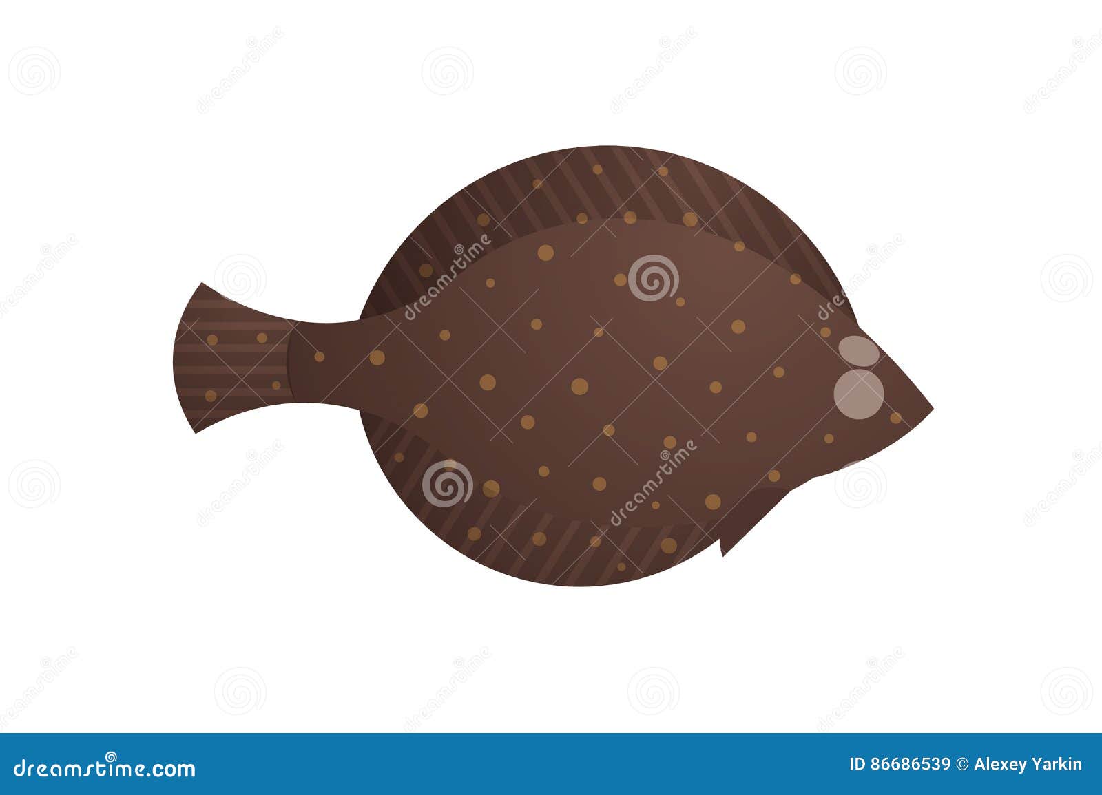 Flounder, Flatfish Illustration, Drawing, Engraving, Ink, Line Art ...
