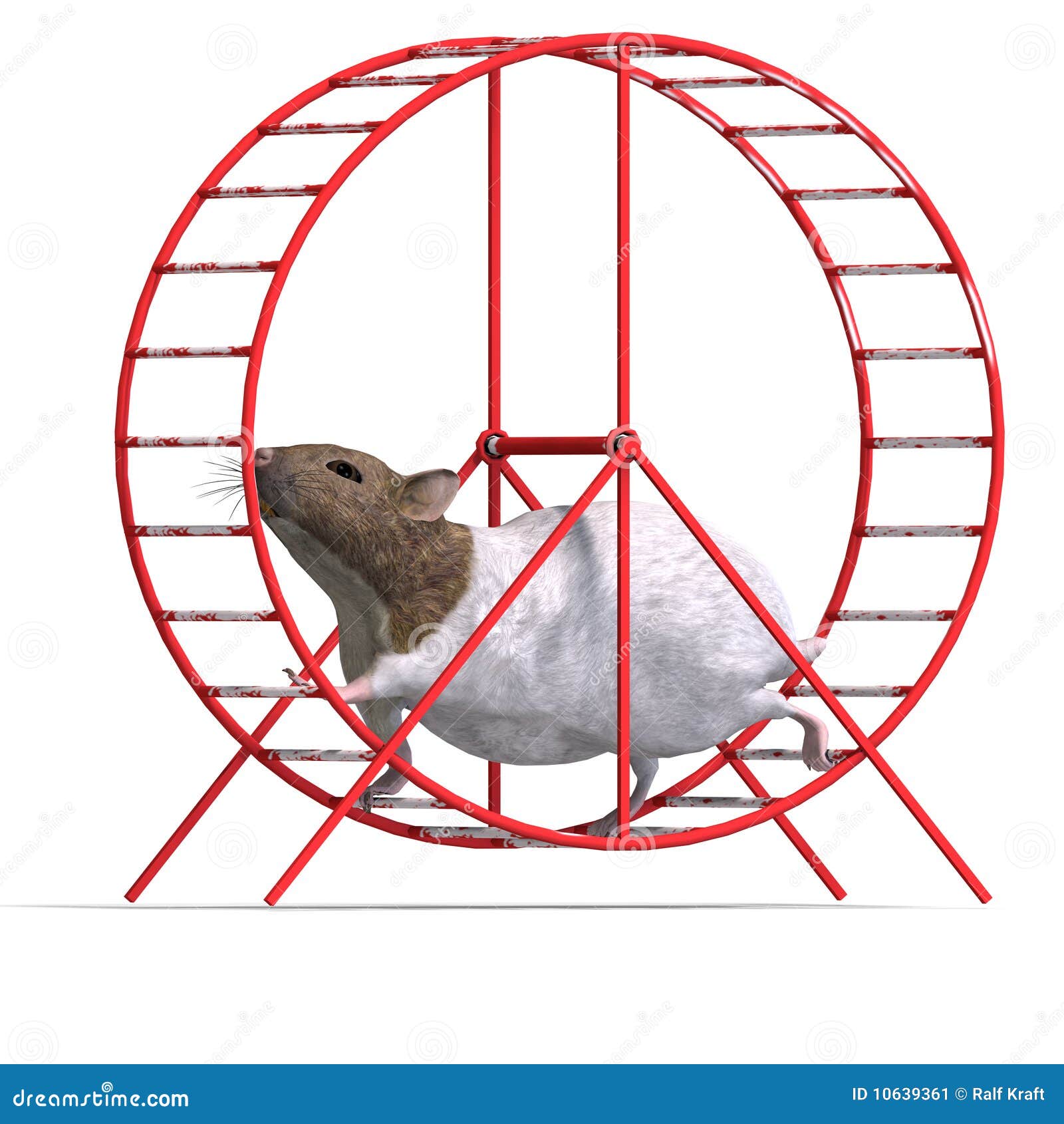 Cute Hamster in a Hamster Wheel Stock Illustration - Illustration of ...