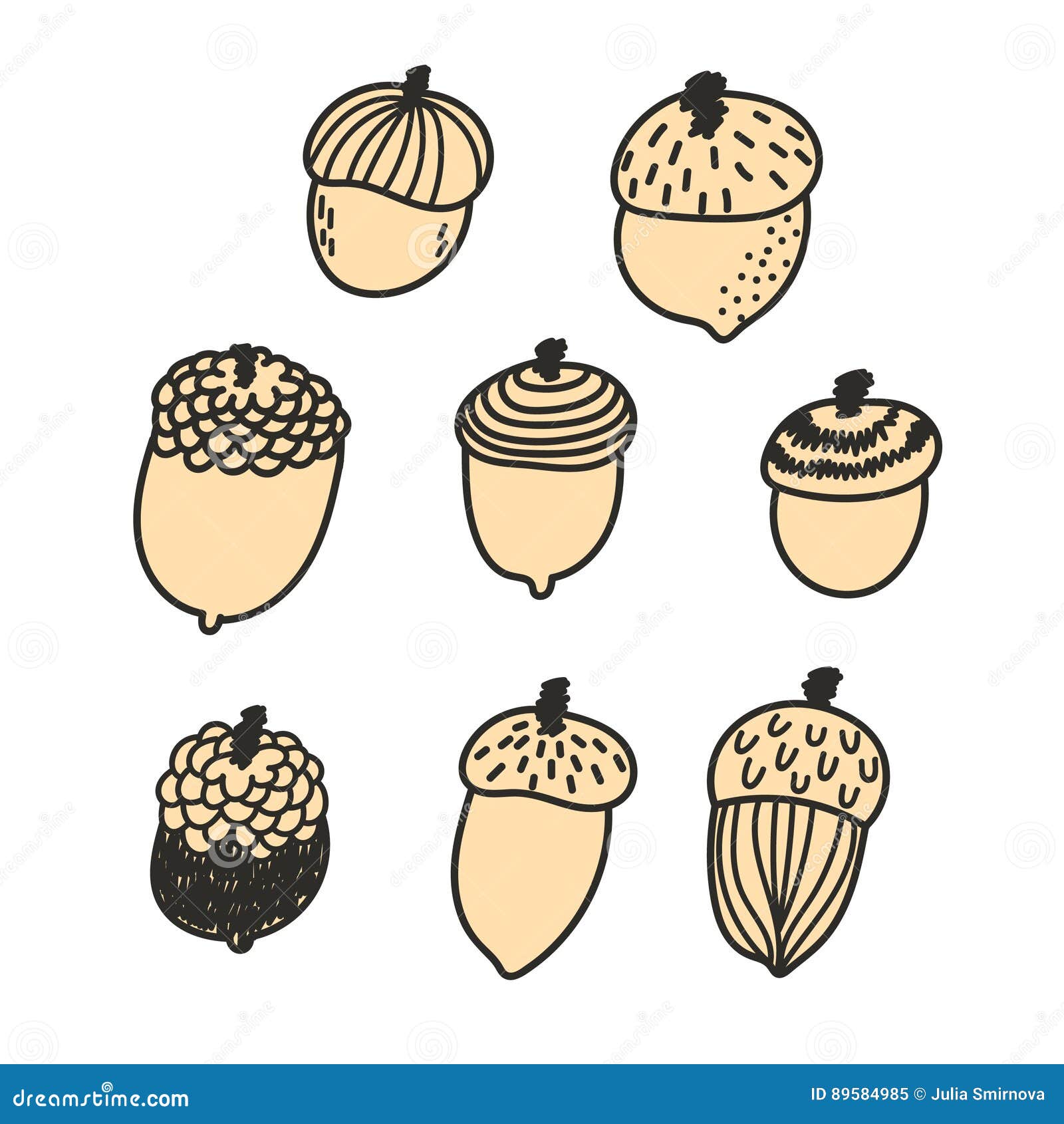 Cute Hand Drawn Acorn Vector Set Stock Vector - Illustration of garden ...