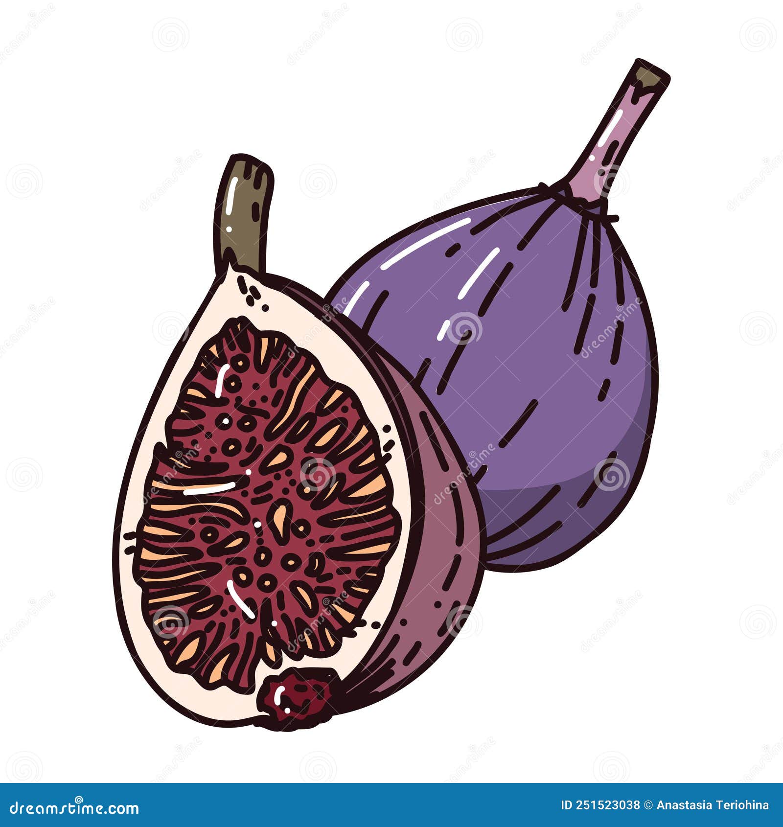 Cute Hand Drawn Illustraton of Figs Stock Vector - Illustration of ...