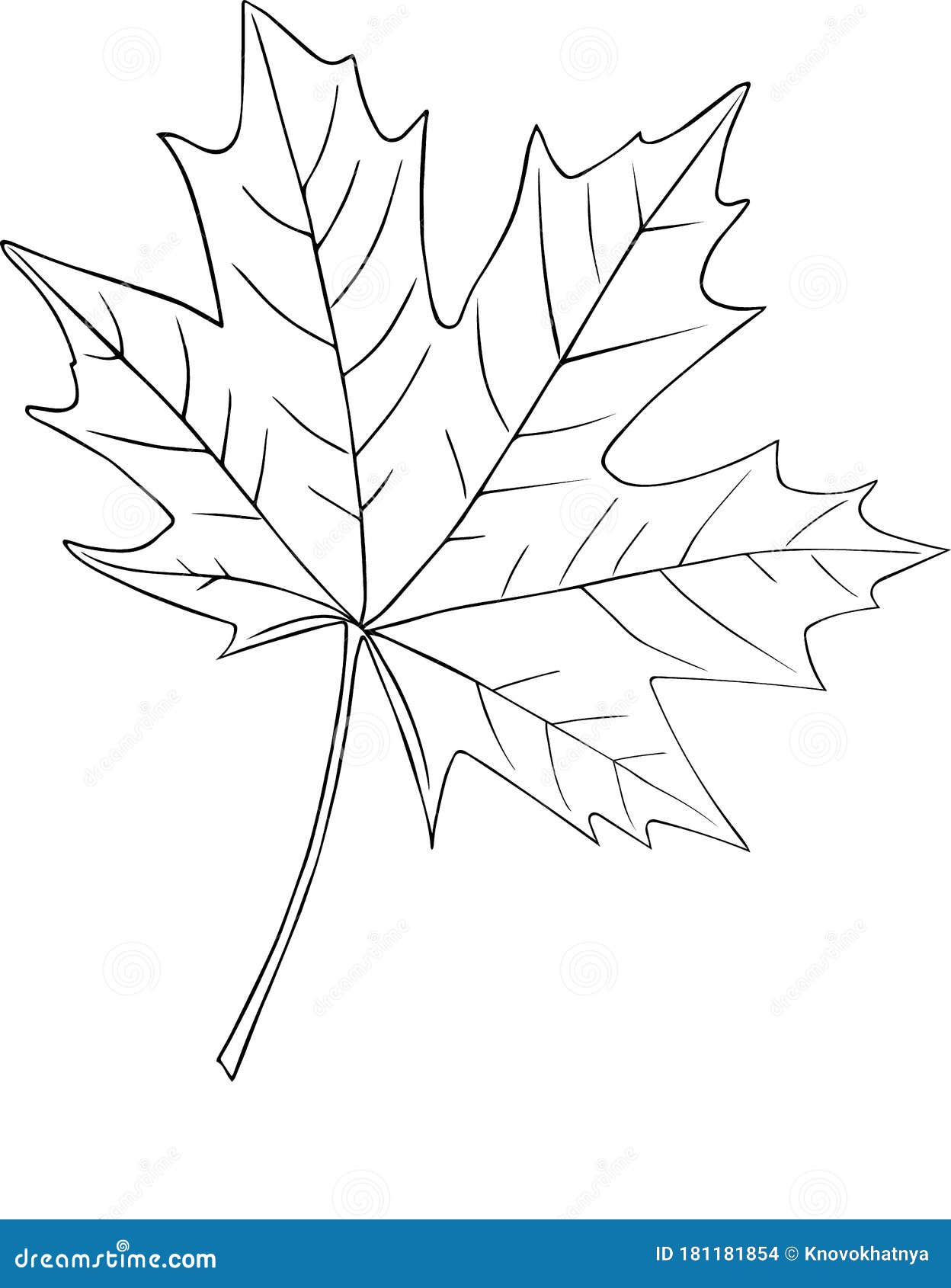 Cute Hand Drawn Leaf of Maple in Doodle Style Isolated on White ...