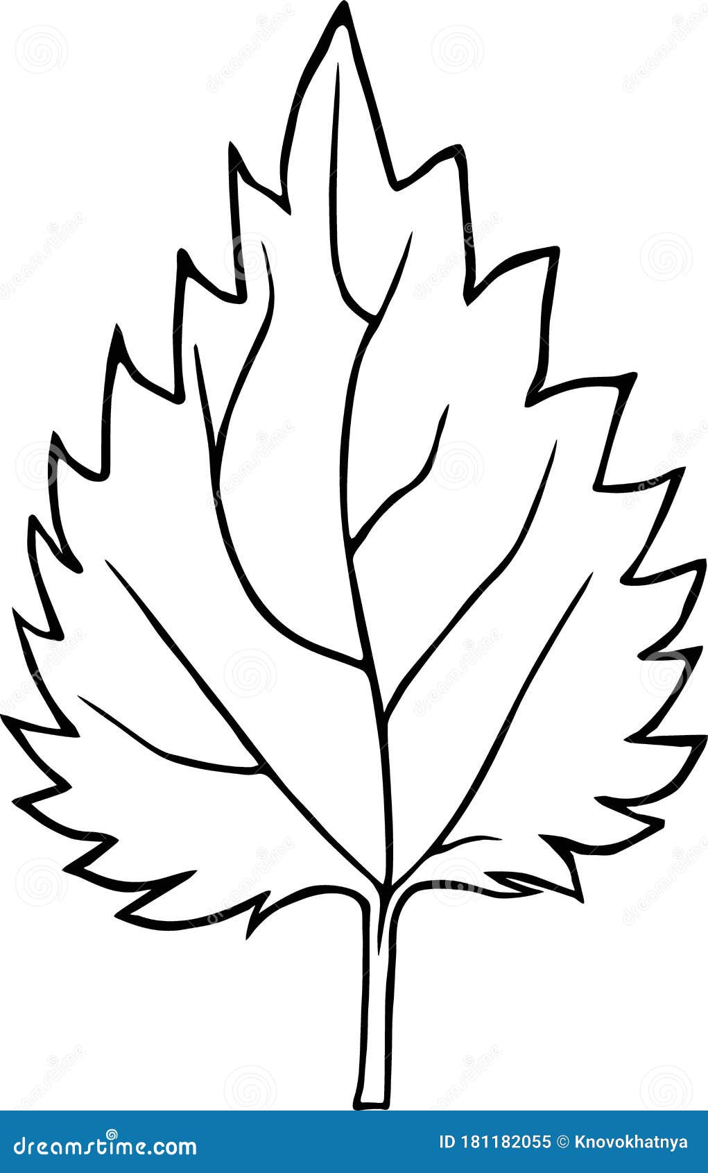 Cute Hand Drawn Nettle Leaf in Doodle Style Isolated on White ...