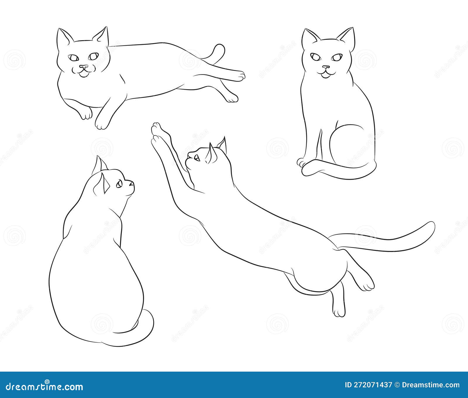 Cute Hand Drawn White Cat in Different Positions. Set of Cat Positions ...