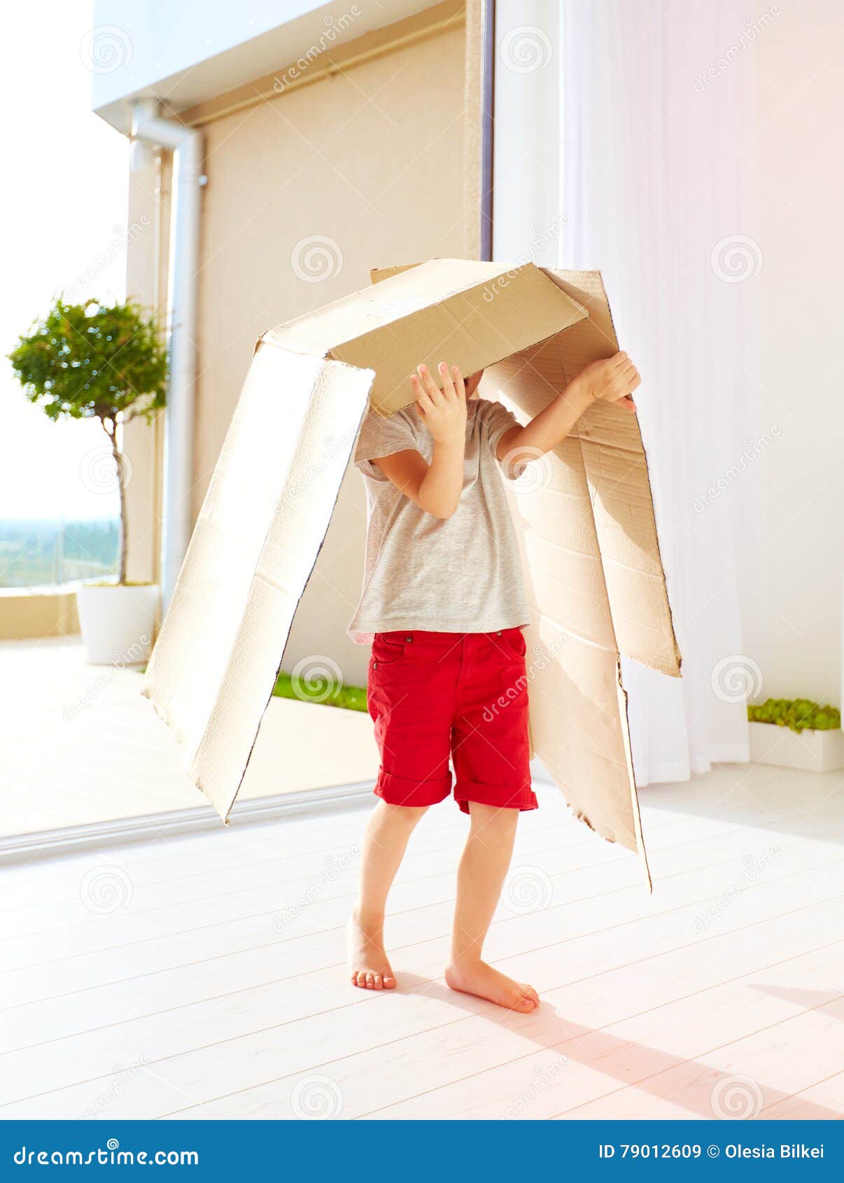 Cute Happy Boy Playing with Cardboard Box at Home Stock Image - Image ...