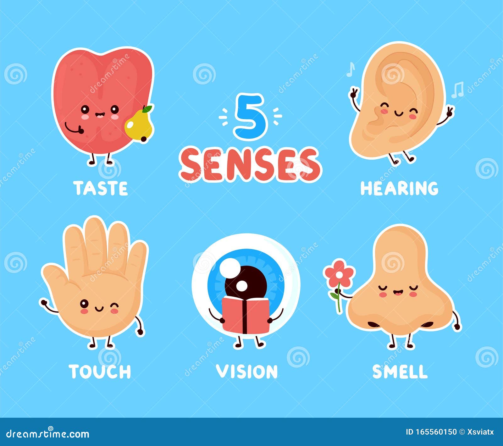 Cute Happy Five Human Senses Stock Vector - Illustration of nose ... Cute Happy Five Human Senses Stock Vector - Illustration of nose ...