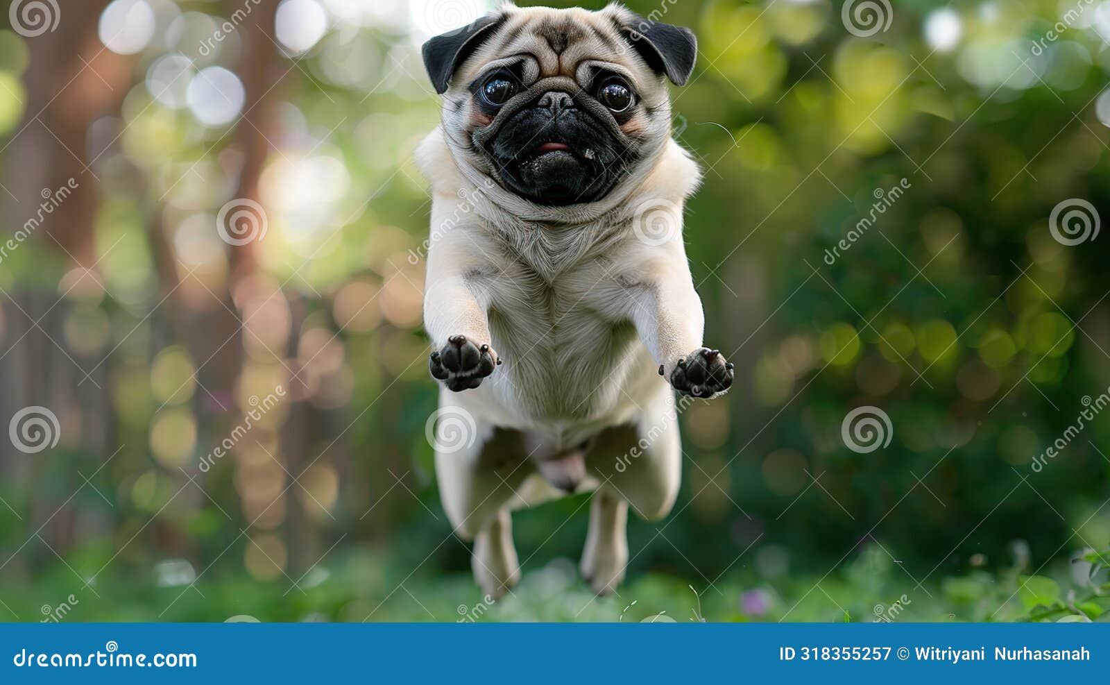 Cute Happy Pug Dog Jumping. AI Generative Stock Illustration ...