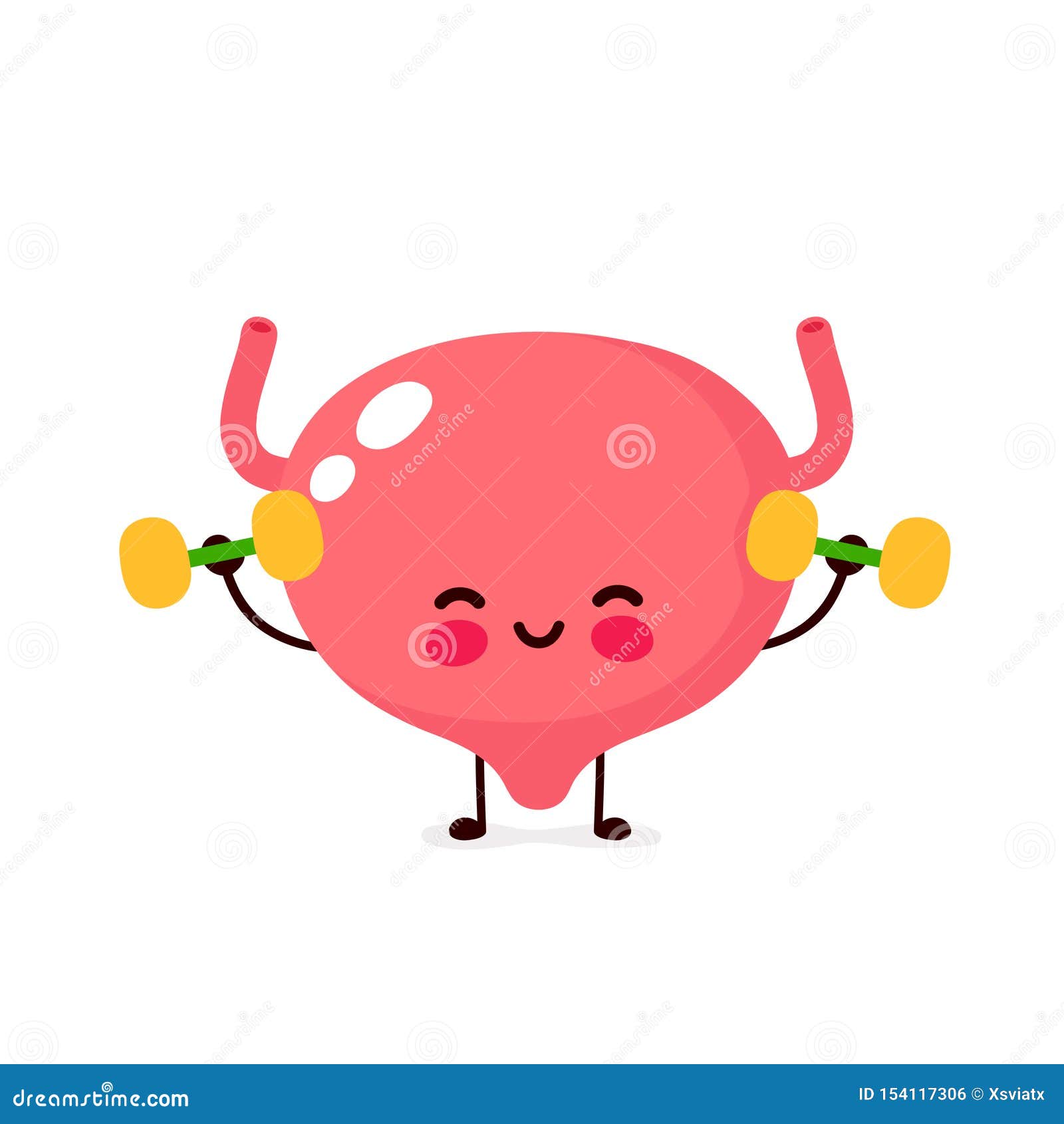 Cute Happy Smiling Bladder Doing Exercises Stock Vector - Illustration ...