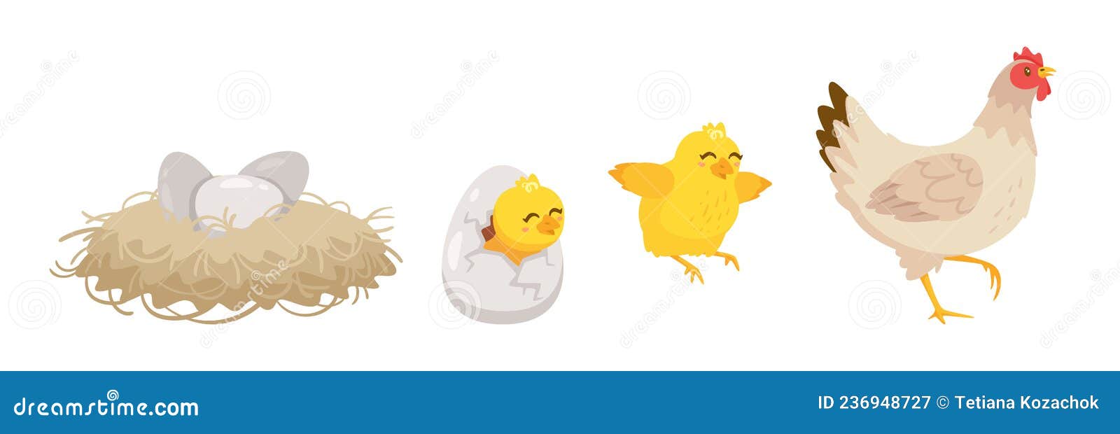 Hatching Process. Vector Cartoon Illustration. White Background ...