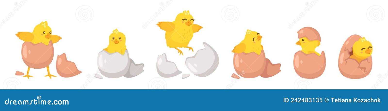 Hatching Process. Vector Cartoon Illustration. White Background ...