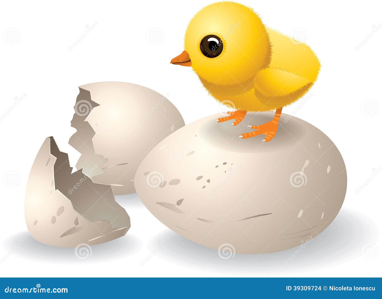 Cute Hatched Chick Vector stock illustration. Illustration of easter ...