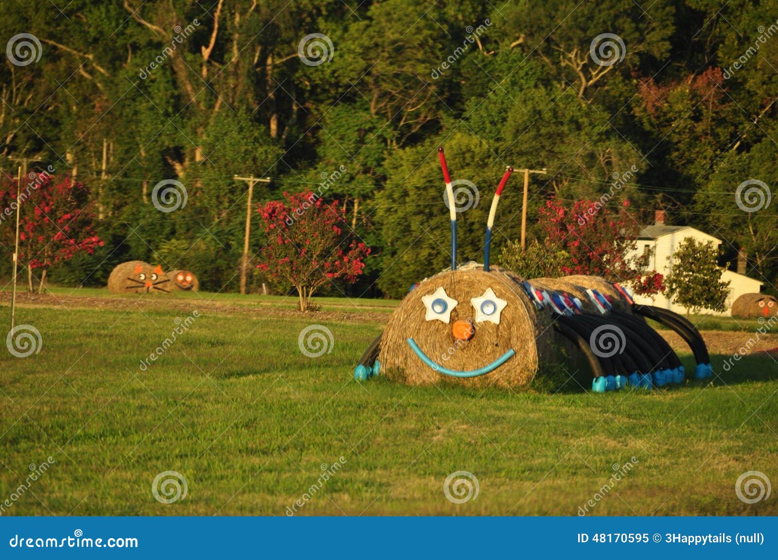 Cute hays stock image. Image of hays, fall, cute, smile - 48170595