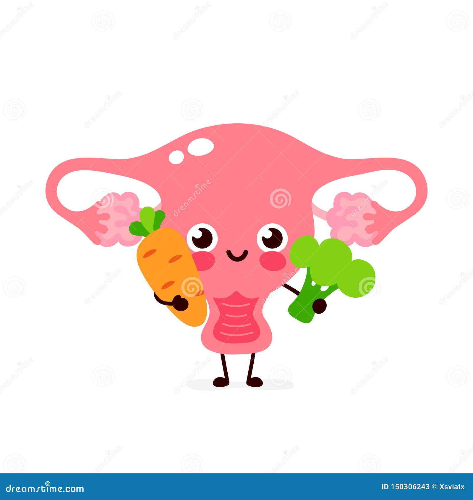 Human Uterus Anatomy Vector Illustration 95124988