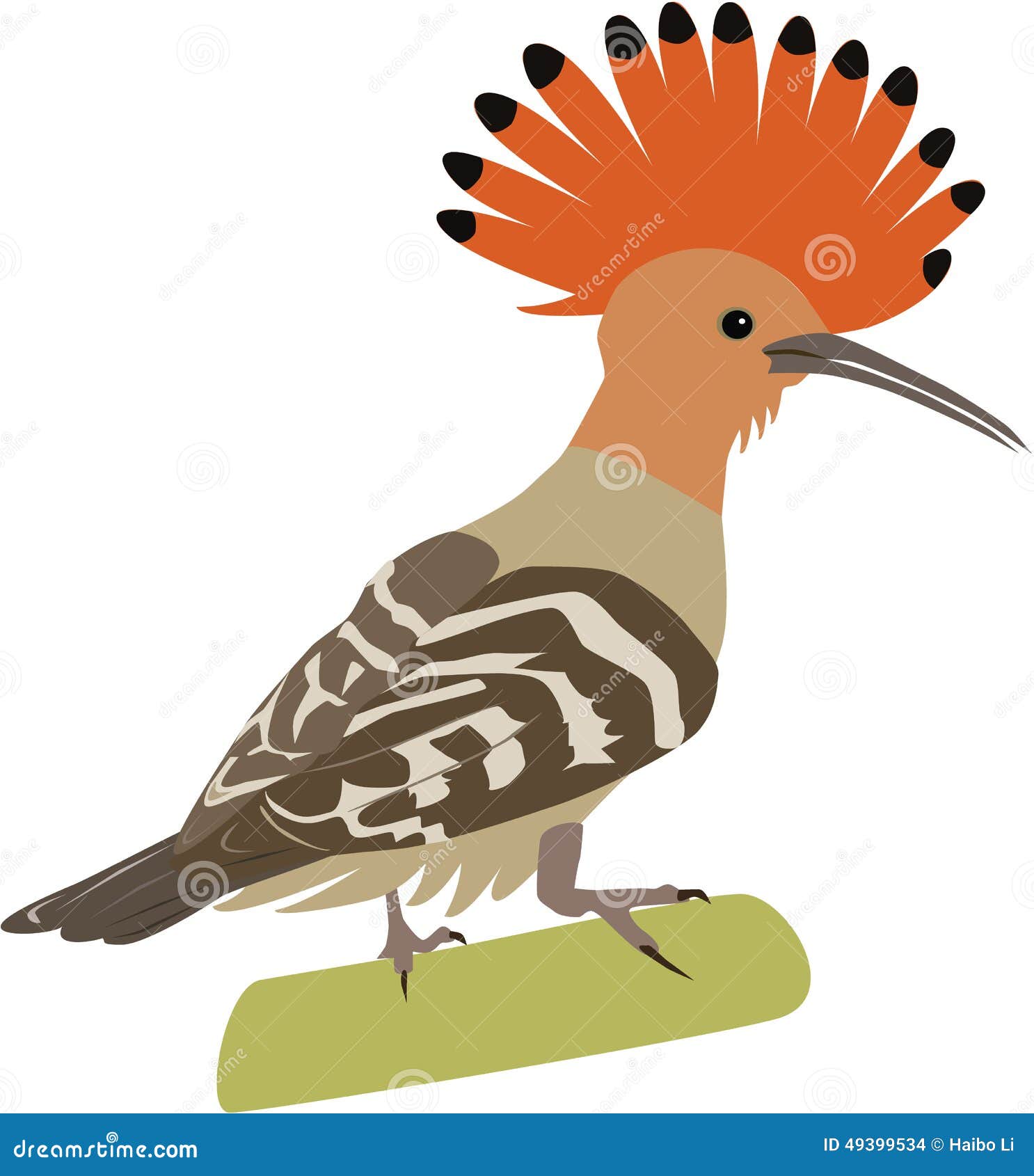 Hoopoe Cartoon