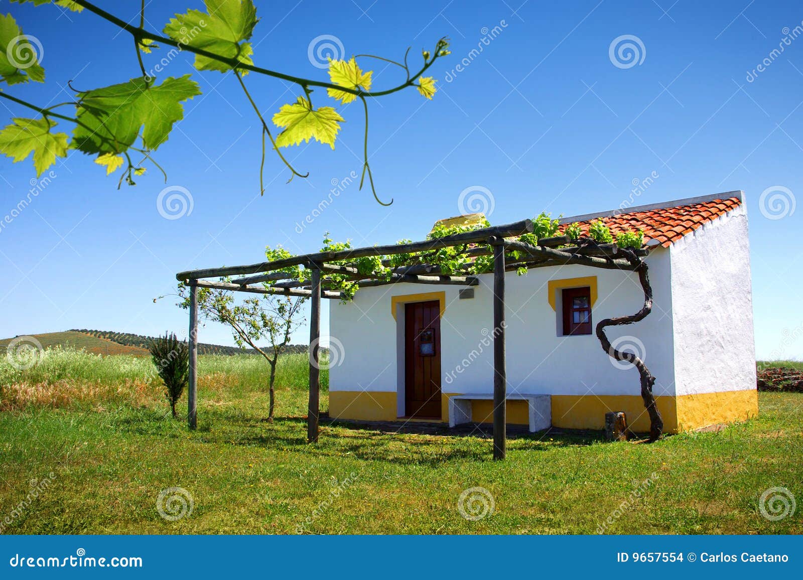 Cute House stock photo. Image of color, cheerful, ornamental - 9657554