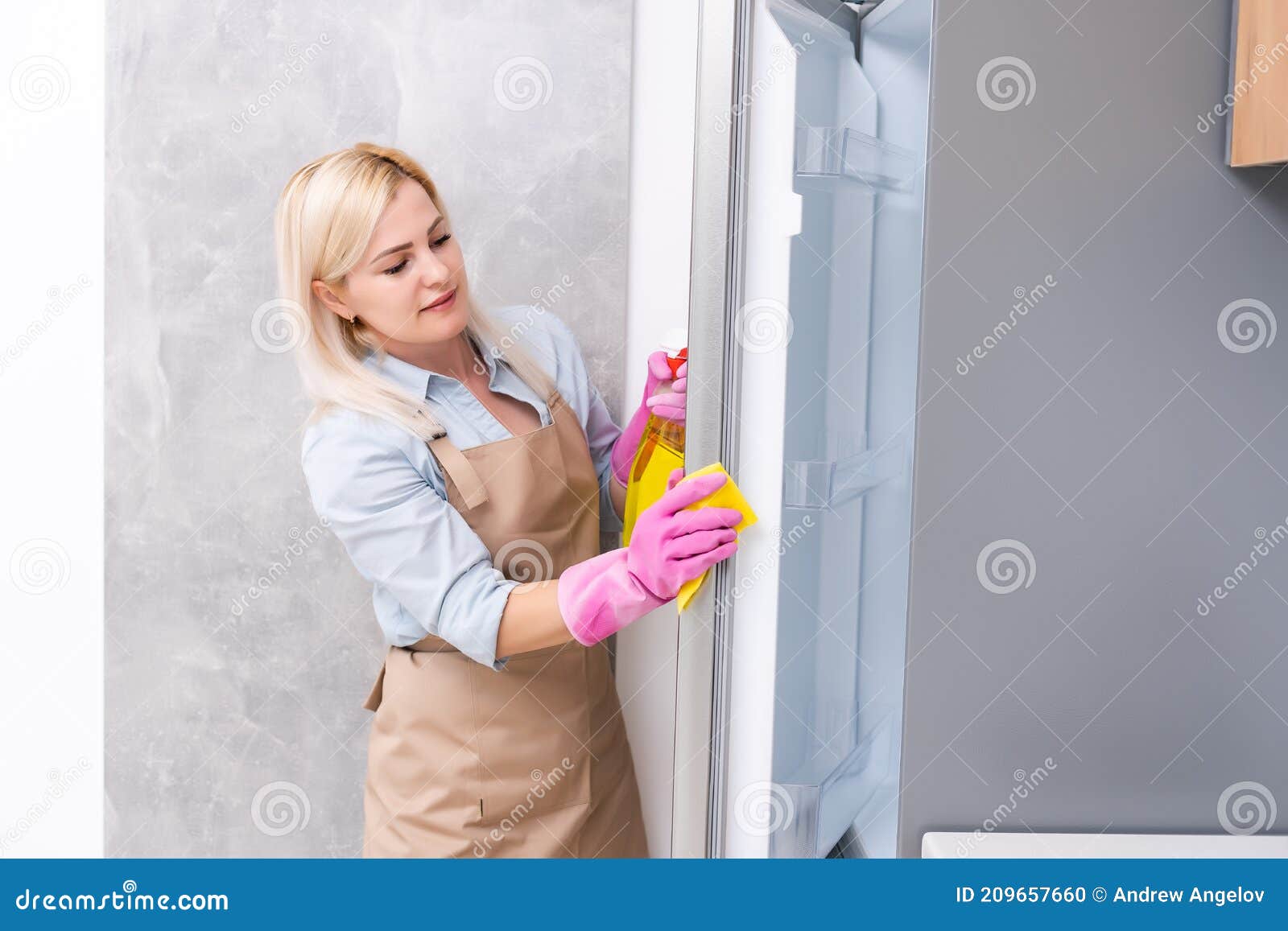 Cute Housewife Cleaning the Kitchen Cleaning the Kitchen Stock Photo ...