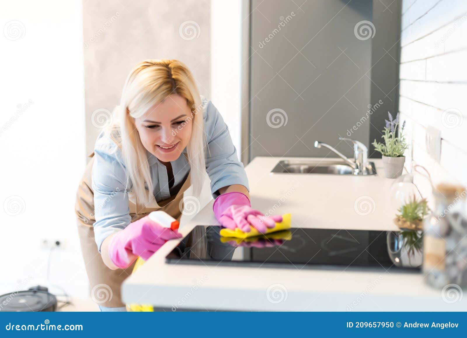 Cute Housewife Cleaning the Kitchen Cleaning the Kitchen Stock Photo ...