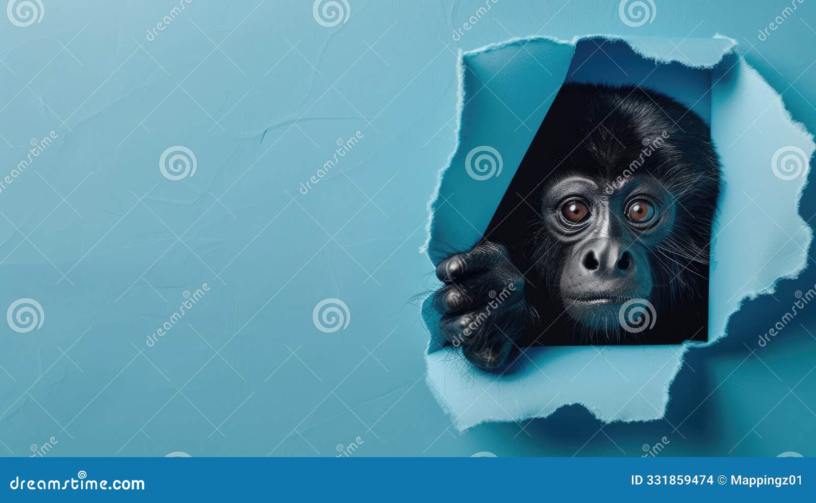 Cute Howler Monkey Peeking through a Hole Stock Illustration ...