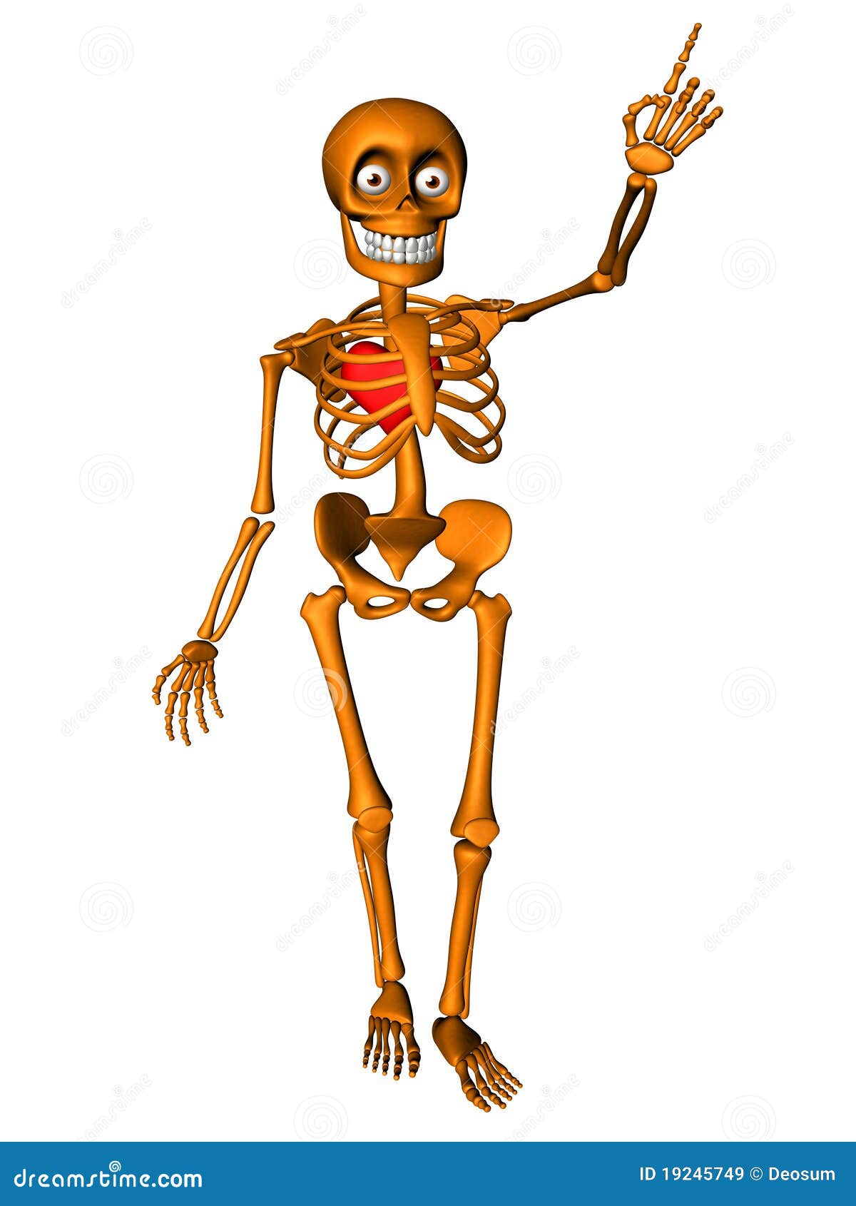 Cute Human Body Skeleton with Red Heart Stock Illustration ...