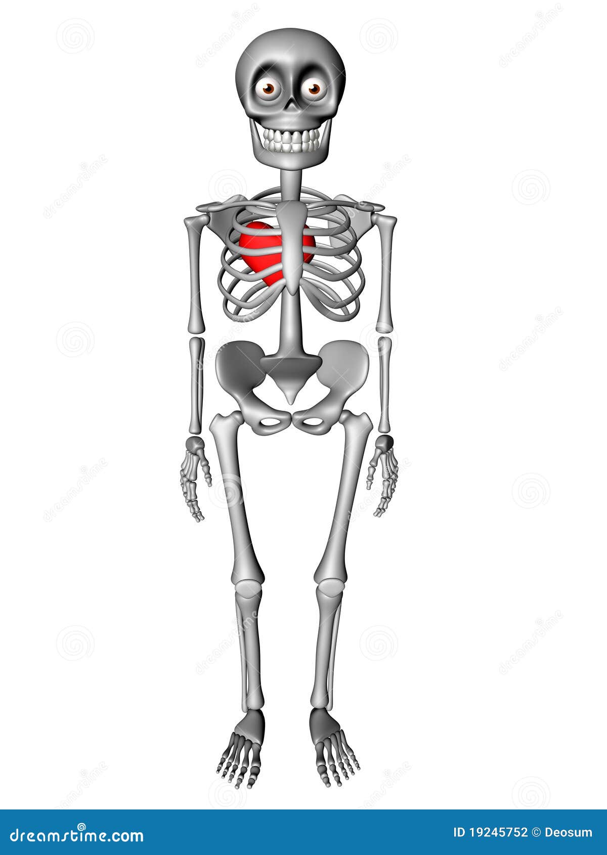 Cute Human Anatomy Organs Internal. Cartoon Style Systems Of Man Body ...