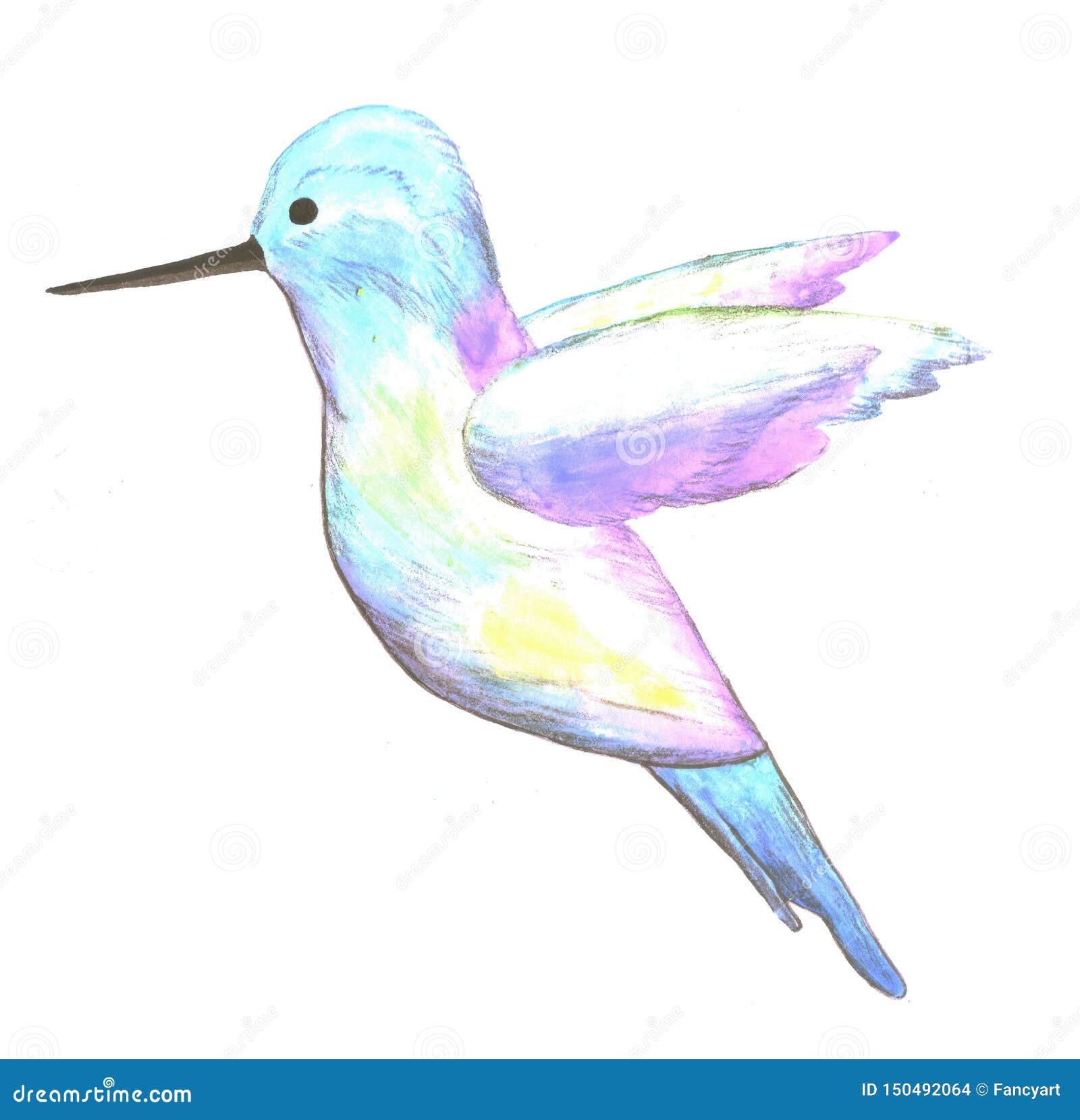 Cute Hummingbird Bird, Coloring Book, Funny Illustration Cartoon Vector ...