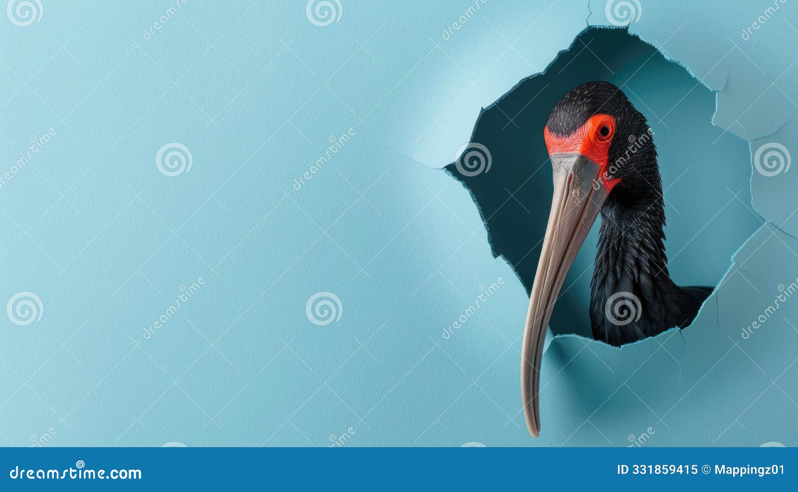 Cute Ibis Peeking through a Hole Stock Illustration - Illustration of ...
