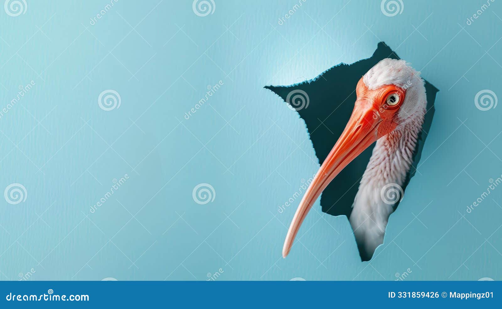 Cute Ibis Peeking through a Hole Stock Illustration - Illustration of ...