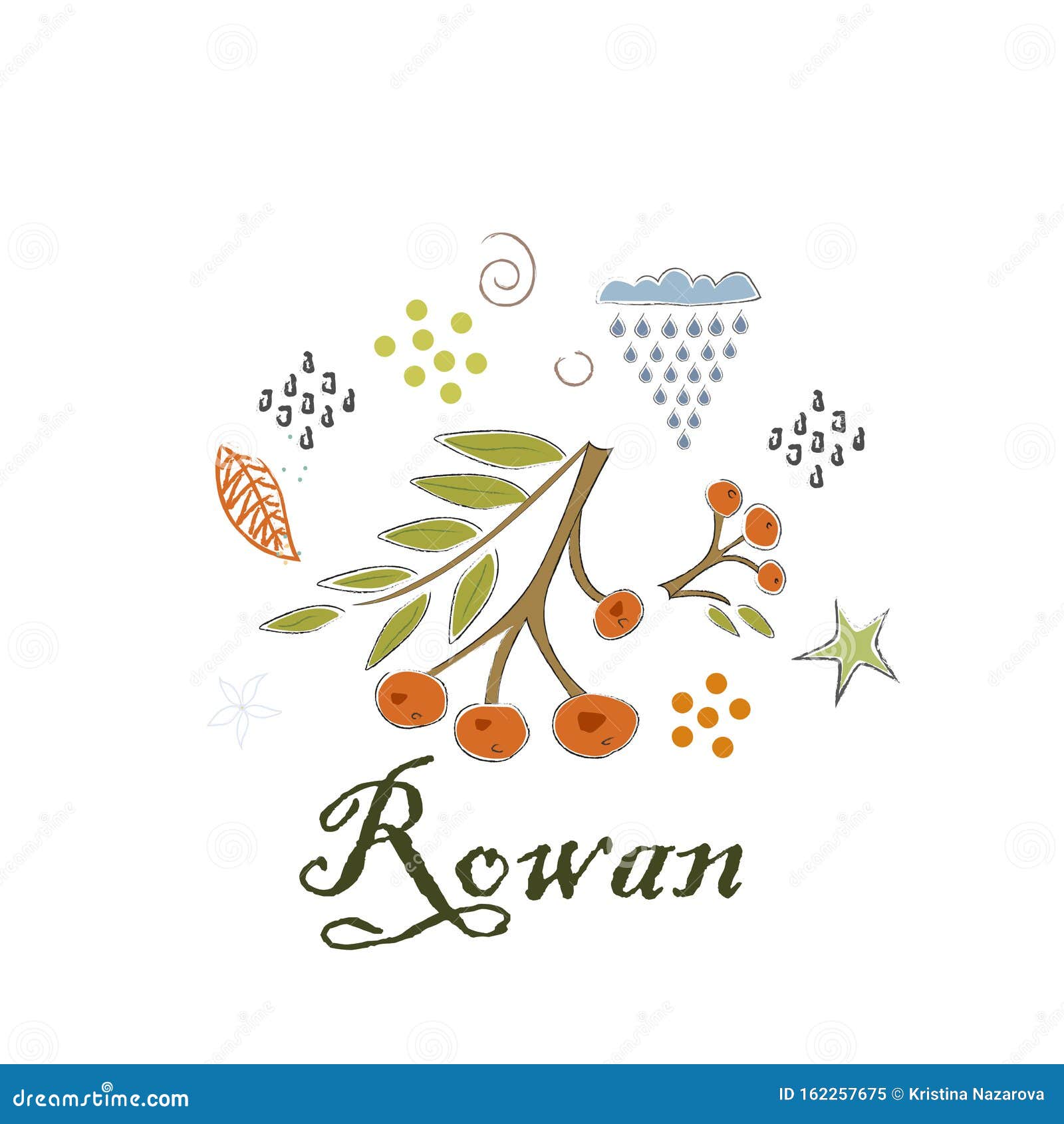 Cute Icon with Rowan. Hand Drawn Scandinavian Style Stock Illustration ...