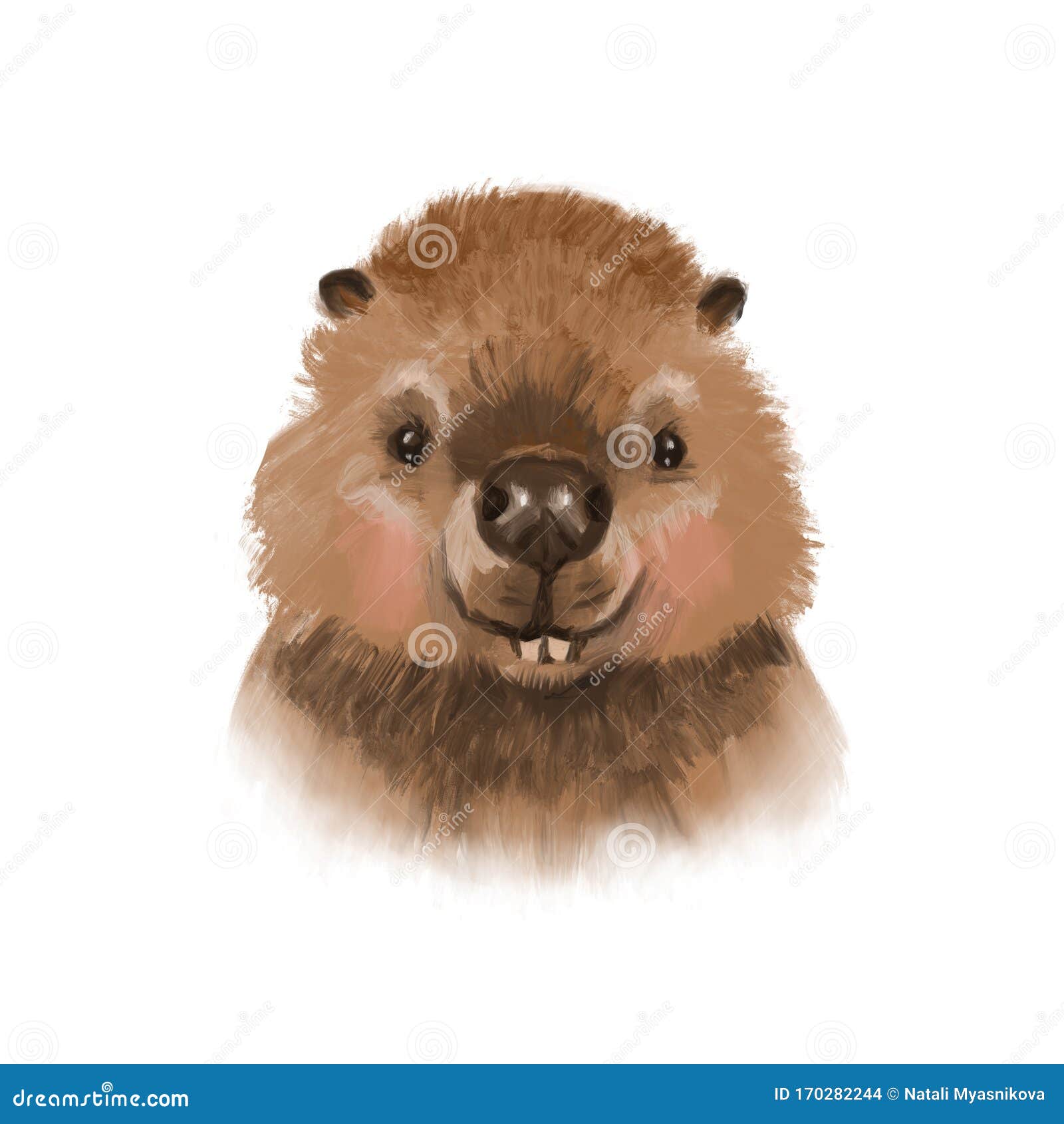 Cute Illustration of a Cartoon Realistic Beaver`s Head Stock Photo ...
