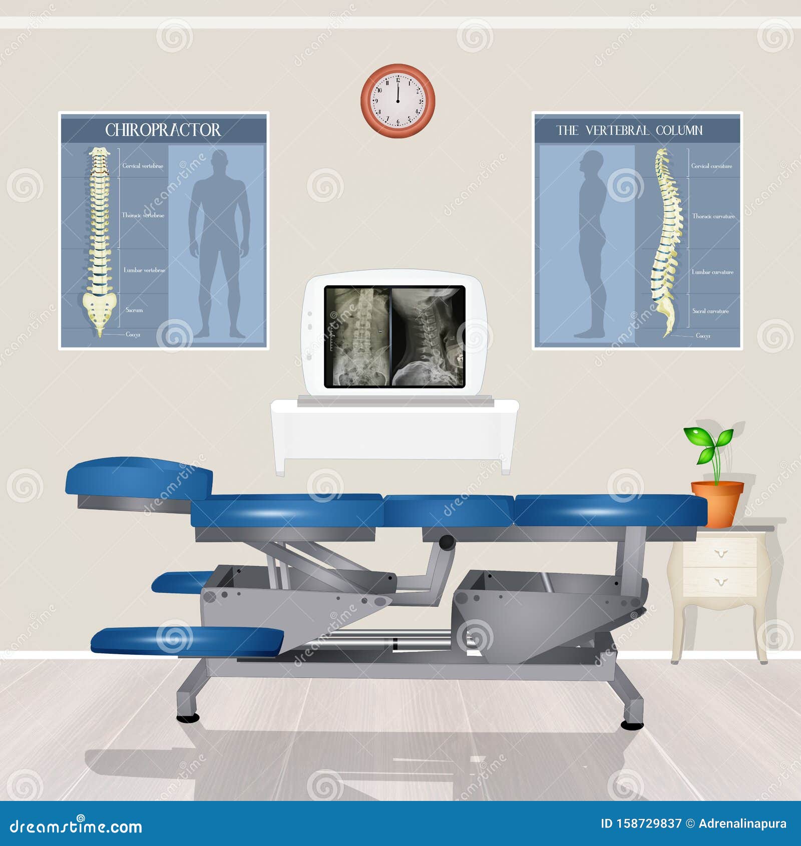 Illustration of Chiropractic Study Stock Illustration - Illustration of ...