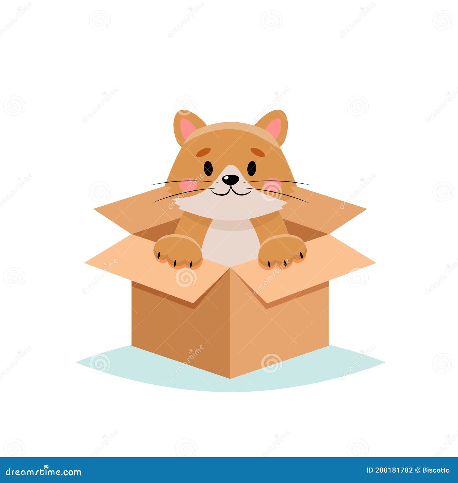 Adopt a Pet - Cute Cat in a Box, Isolated on White Background Stock ...