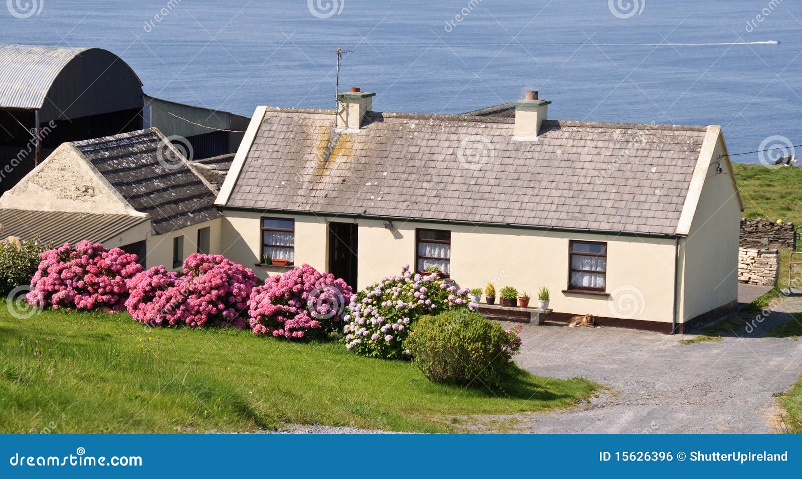 Cute Irish Cottage by the Ocean for Rental Stock Photo - Image of ...